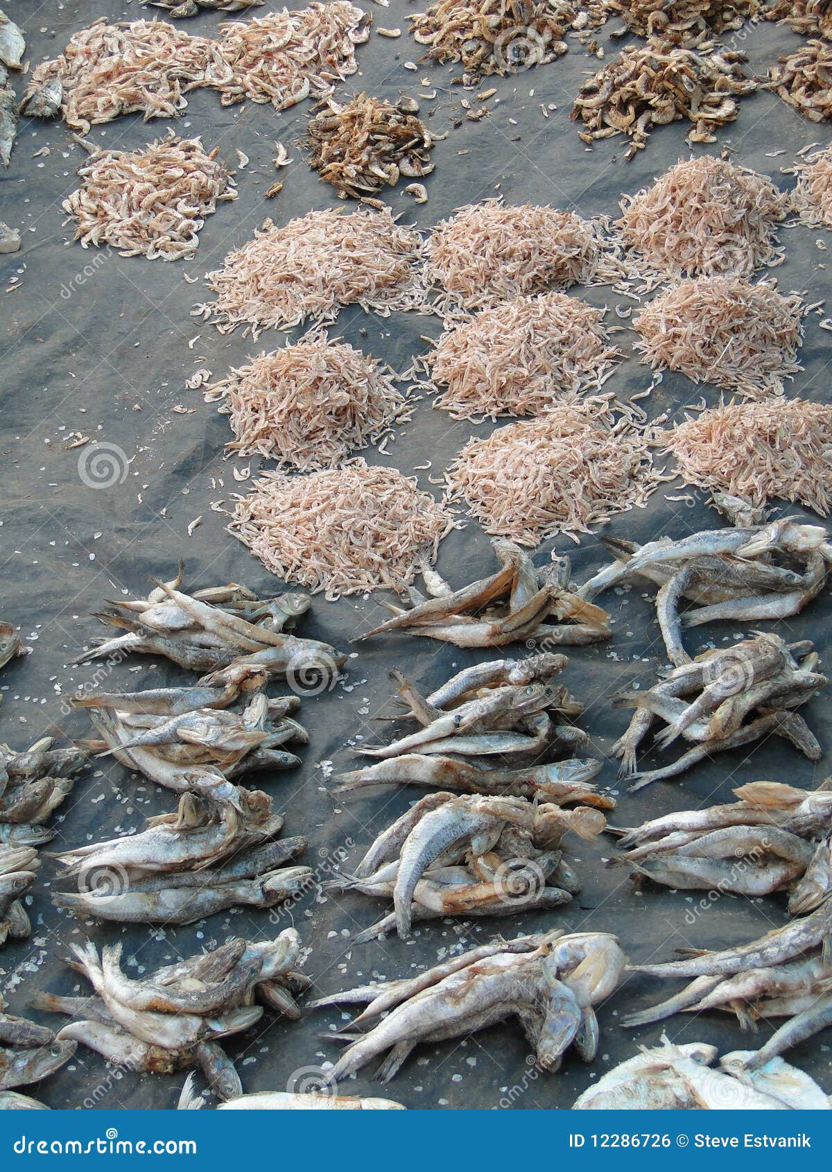 Dried fish for sale stock photo. Image of food, asia - 12286726