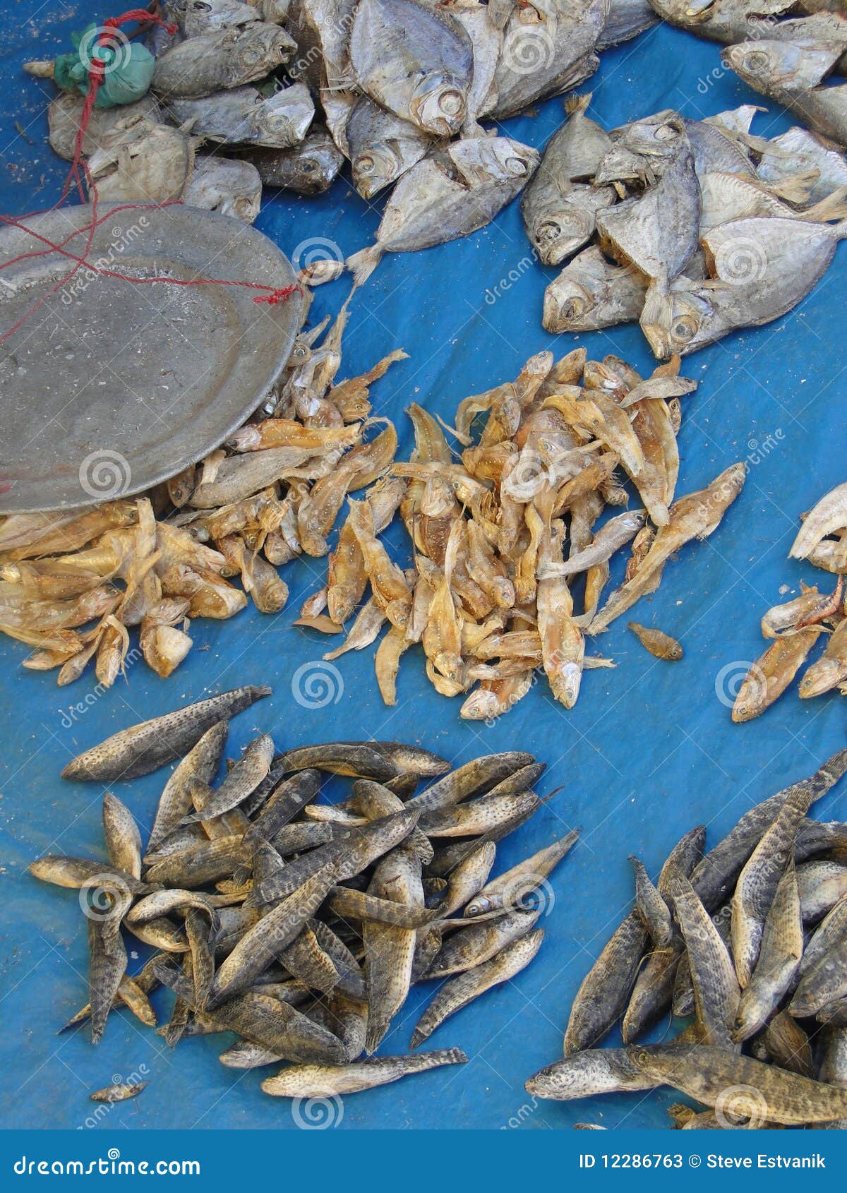 Dried fish for sale stock image. Image of sardine, fauna - 12286763