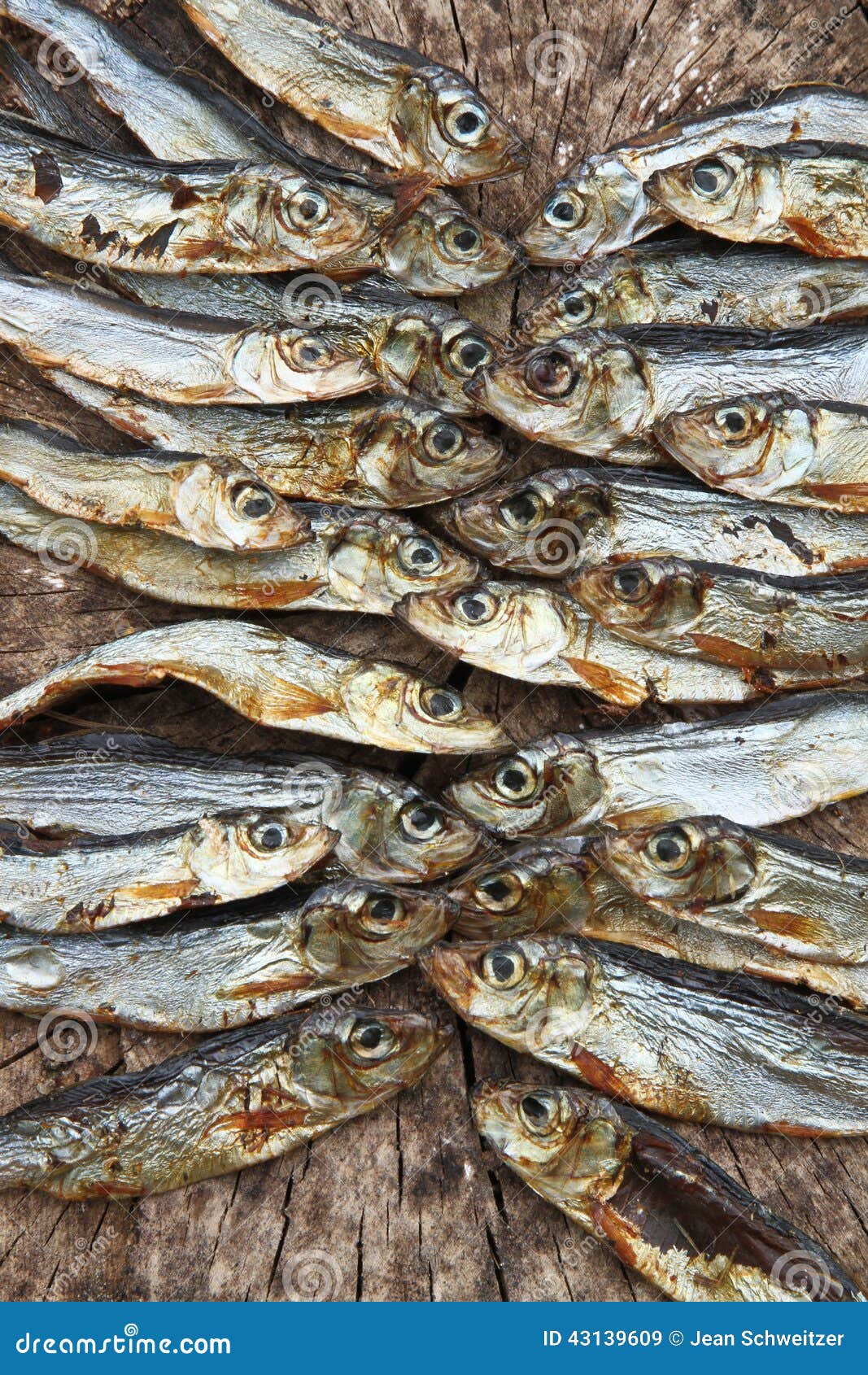 Dried fish stock image. Image of tinapa, stockfish, animal - 43139609