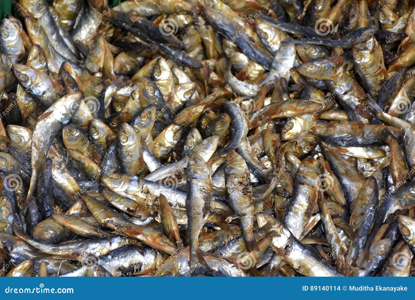 Dried fish stock photo. Image of snack, fresh, thai, thailand - 89140114
