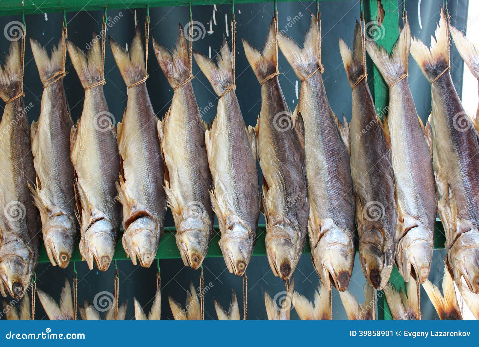 Dried Fish stock image. Image of taipa, china, large - 39858901