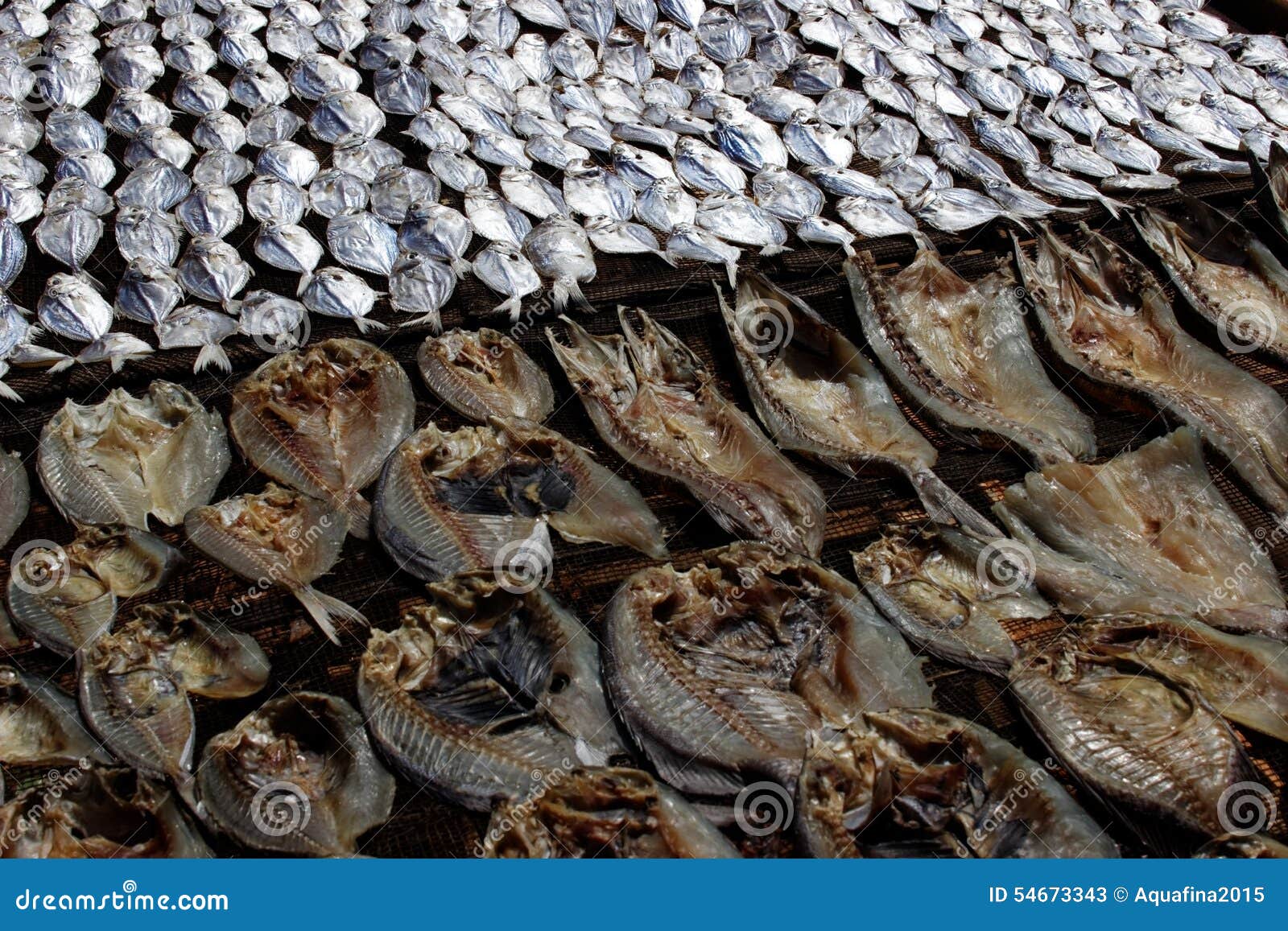 Dried fish stock image. Image of protein, food, philippines - 54673343