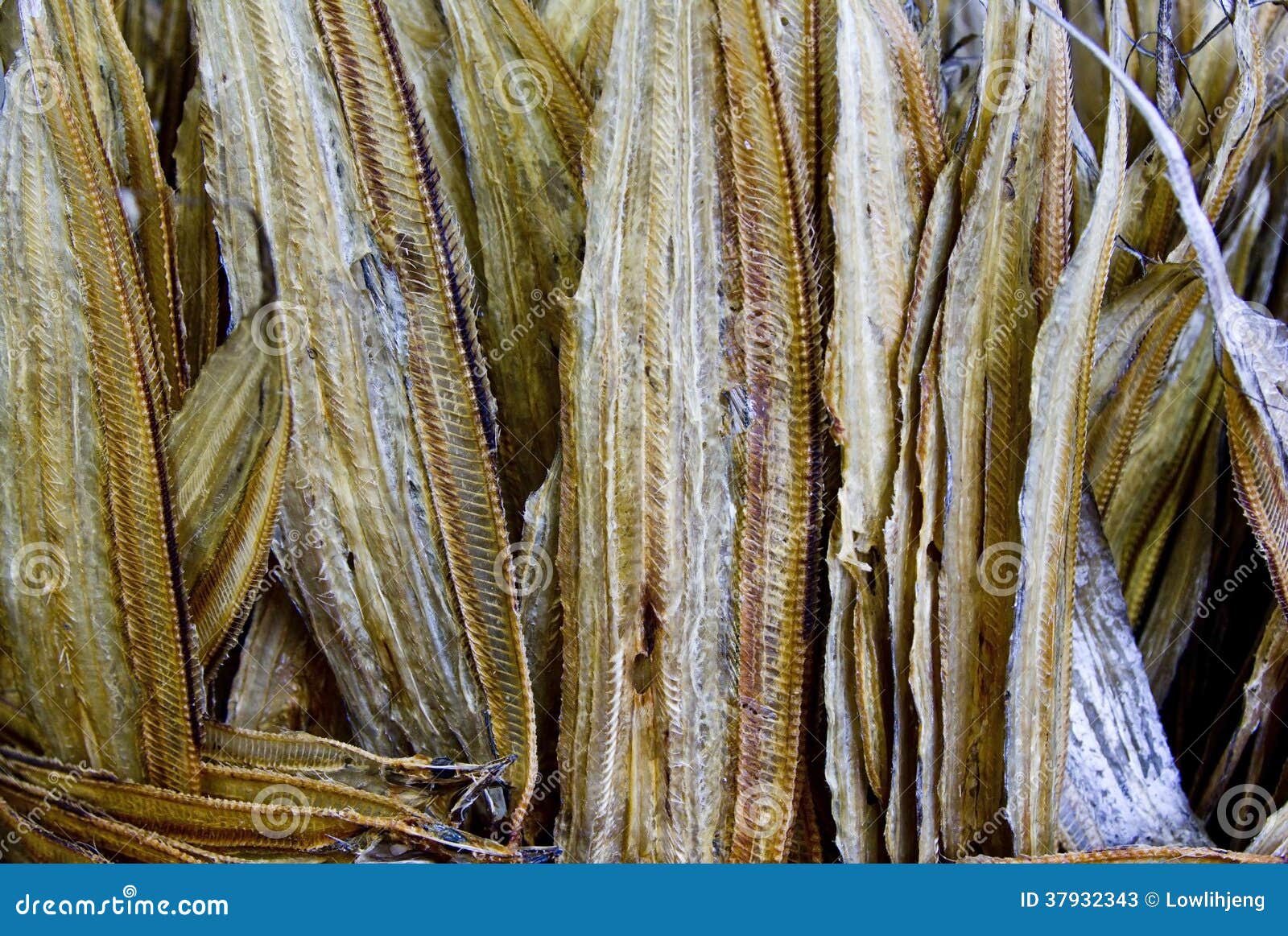 Dried fish stock image. Image of long, southeast, natural - 37932343