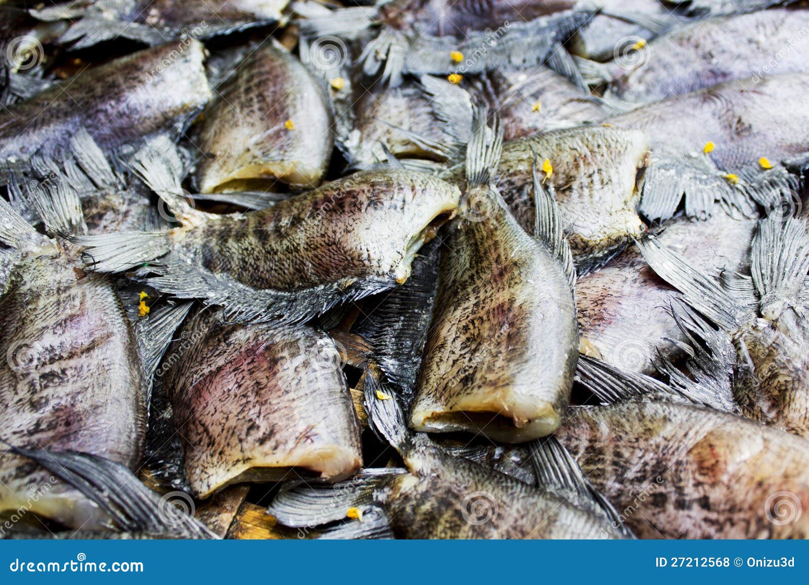 Dried fish textures stock photo. Image of nutrition, nature - 27212568