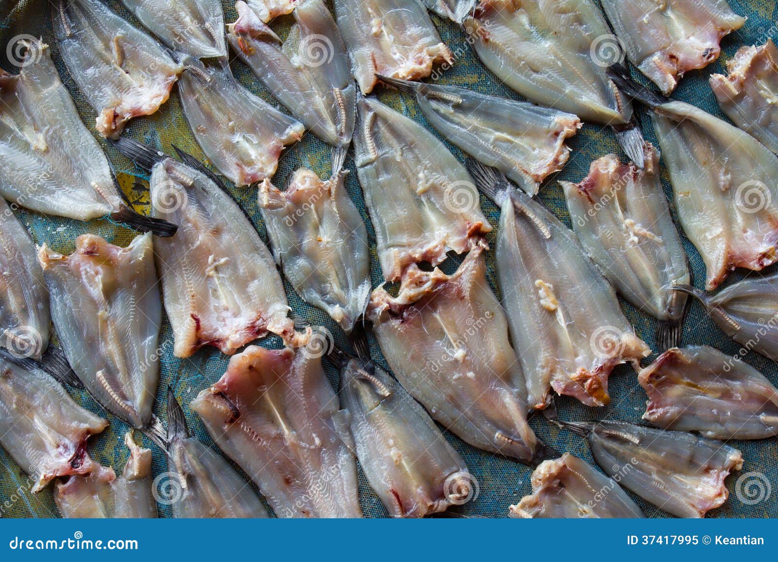 Dried fish stock image. Image of flat, culinary, dinner - 37417995