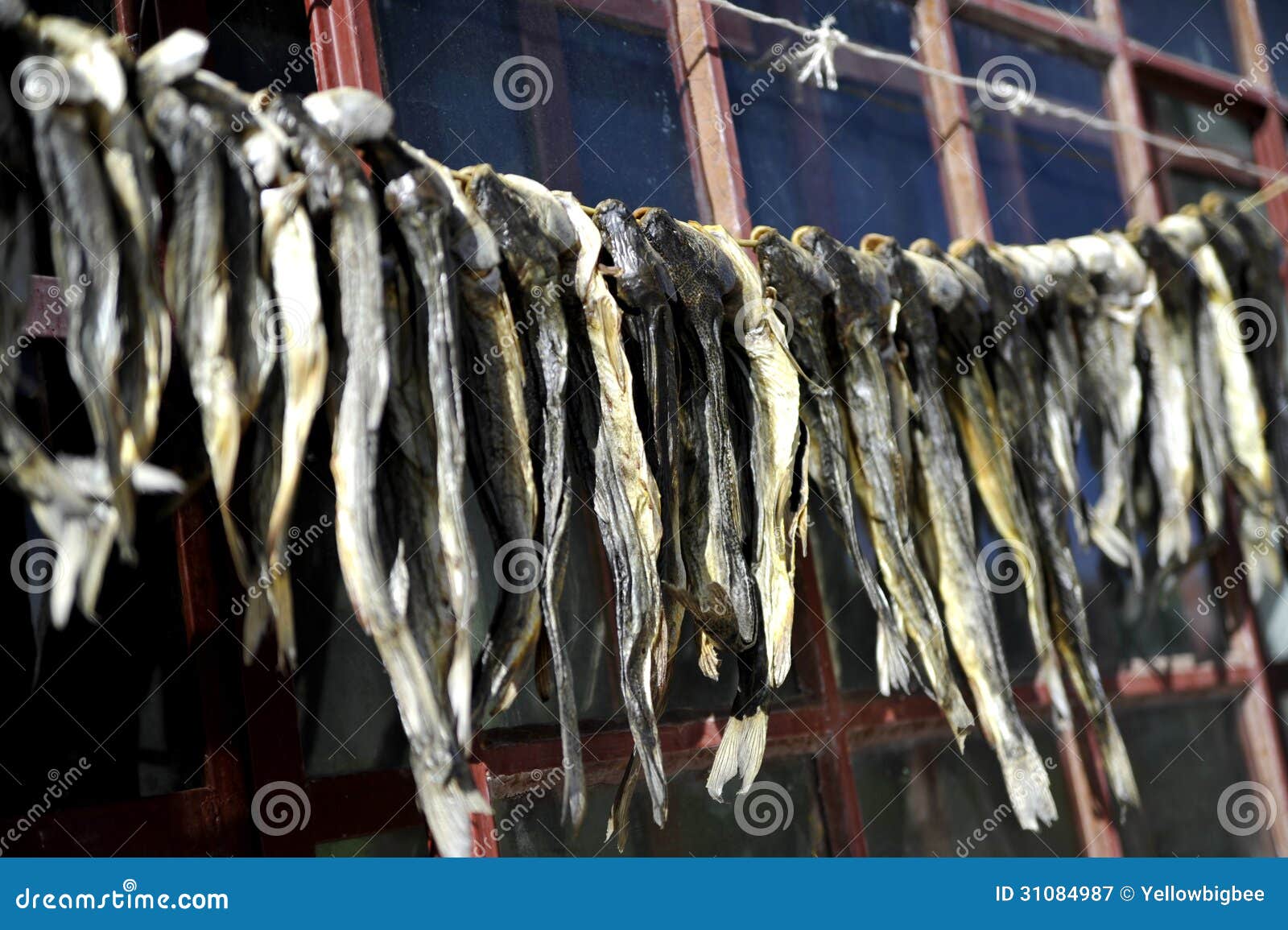 Dried fish stock image. Image of dried, food, industrial - 31084987