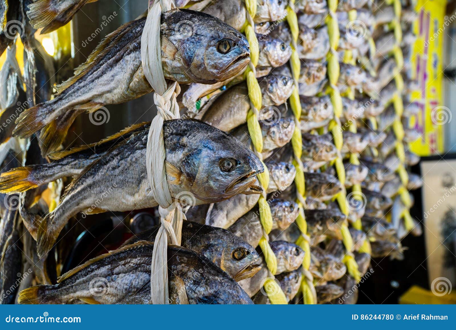 Dried Fish Stock Photo | CartoonDealer.com #86244780