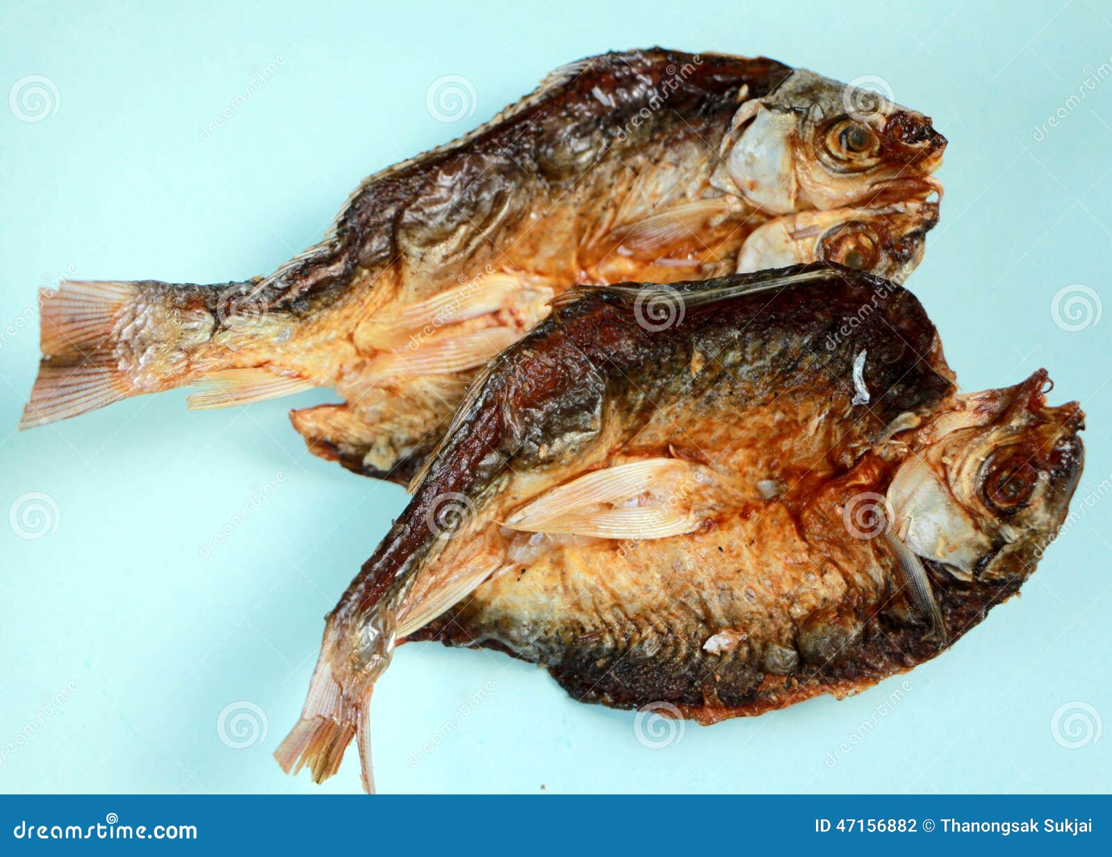 Dried fish stock photo. Image of fish, snack, sharp, white - 47156882