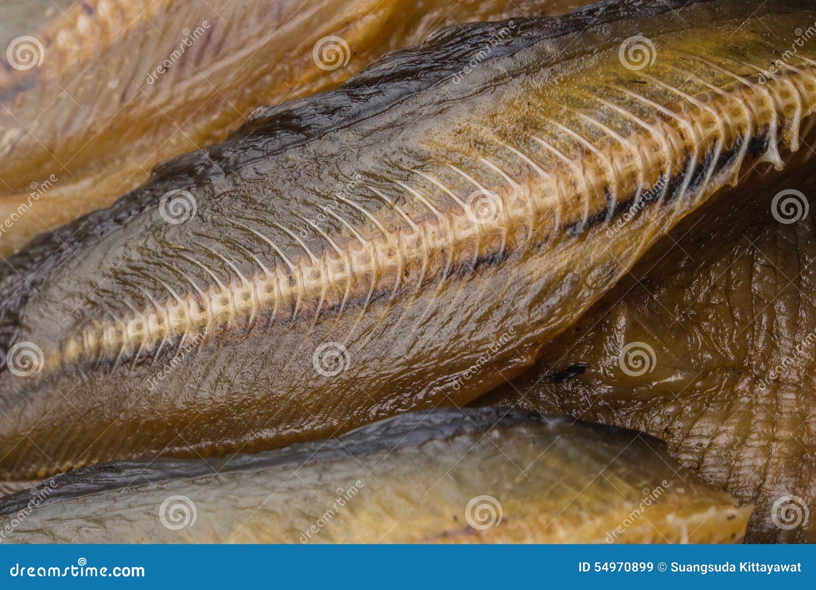 Dried fishbone stock image. Image of kipper, fishing - 54970899