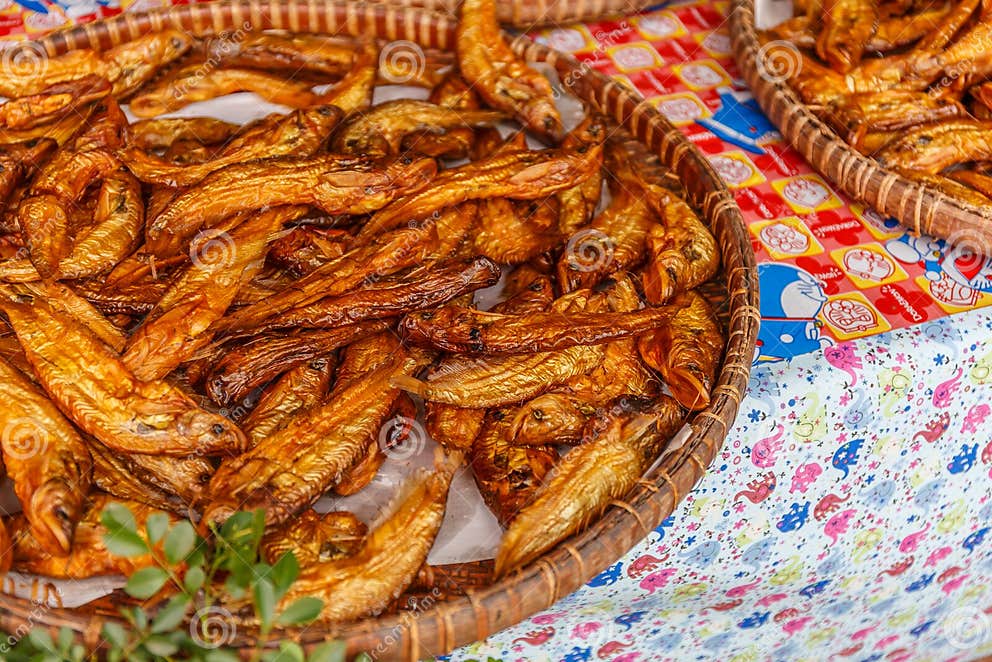 Dried fishDifferent kinds stock photo. Image of seafood - 120363036