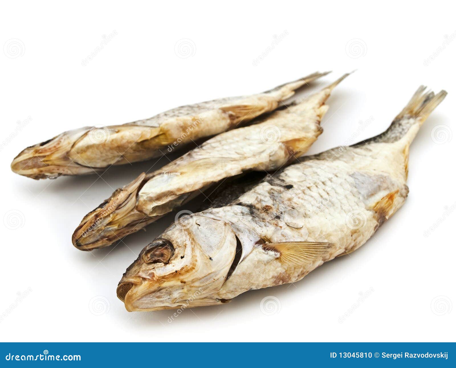 Dried fishes stock photo. Image of dried, snack, traditional - 13045810