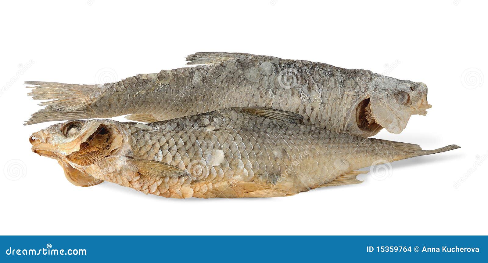 372 Traditional Preserved Fishes Stock Photos - Free & Royalty-Free ...