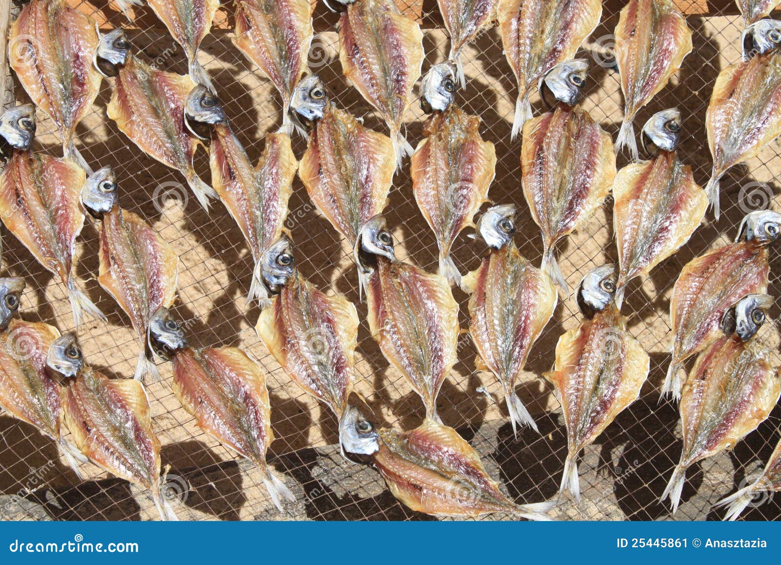 Dried fishes stock image. Image of nature, portuguese - 25445861
