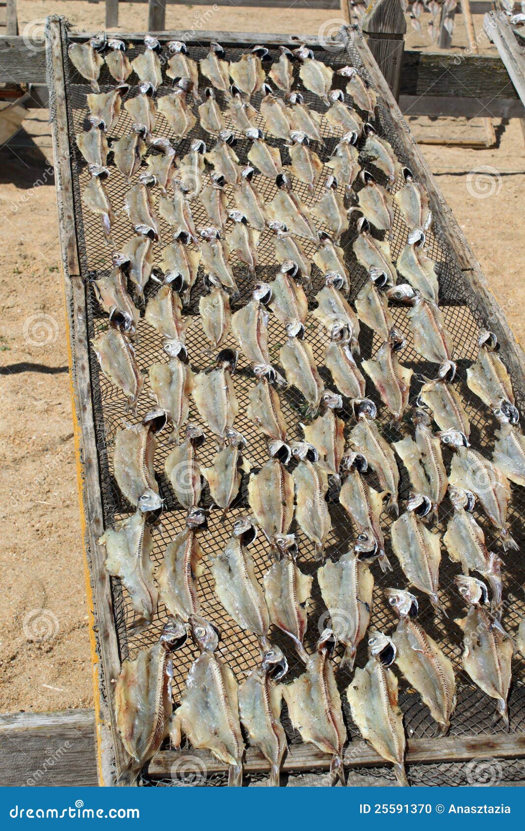 Dried fishes stock photo. Image of sunny, dried, town - 25591370
