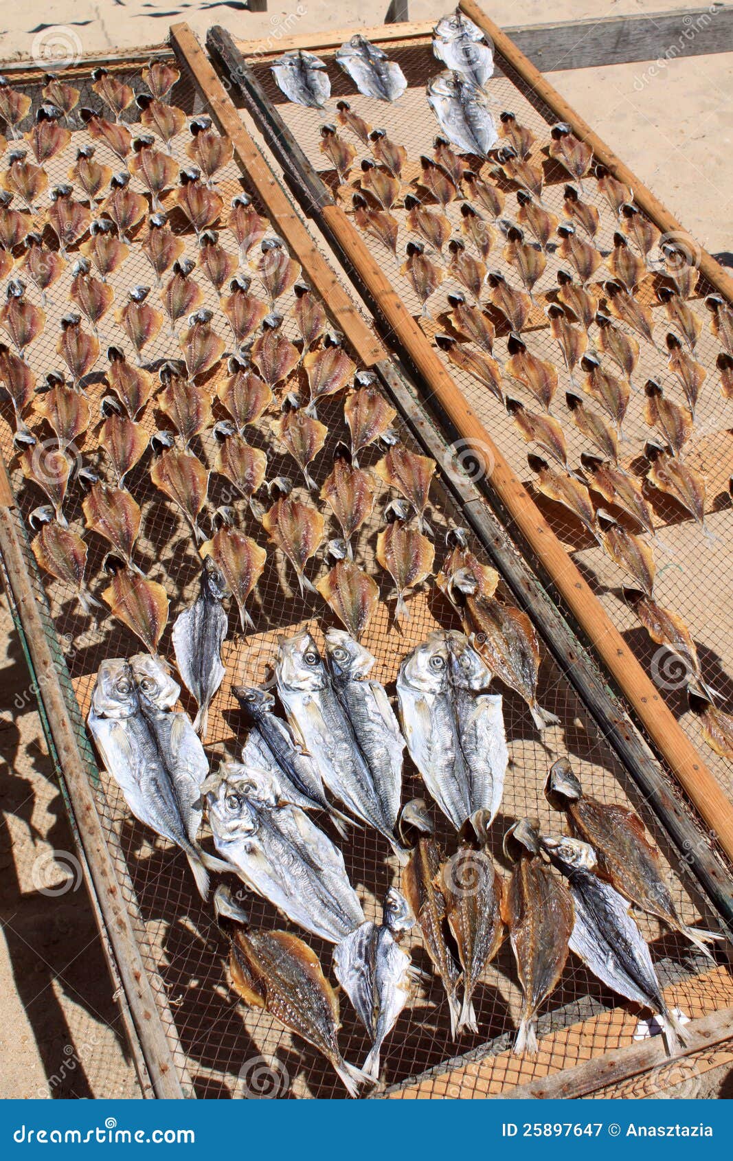 Dried fishes stock image. Image of traditional, water - 25897647