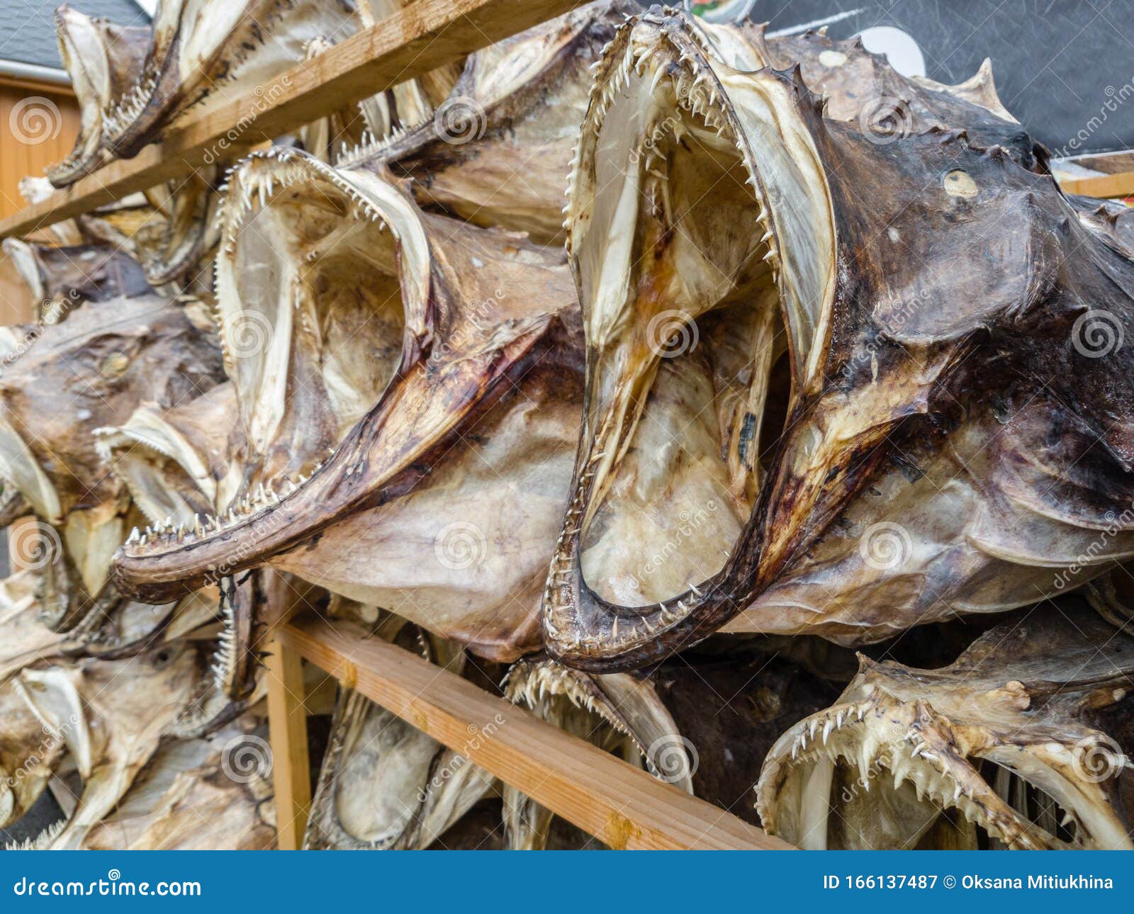 Dried fishes stock image. Image of panel, stack, stockfish - 166137487