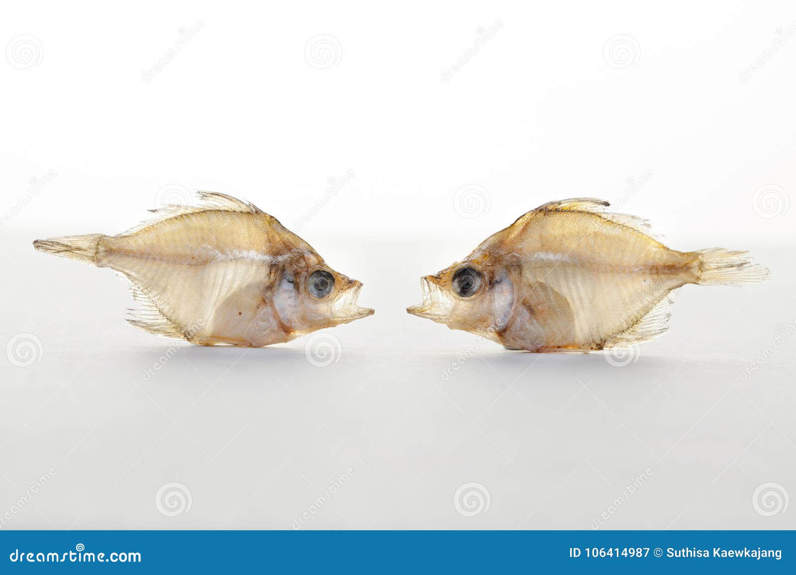 Dried Fishs Isolated on White Background Stock Image - Image of fish ...