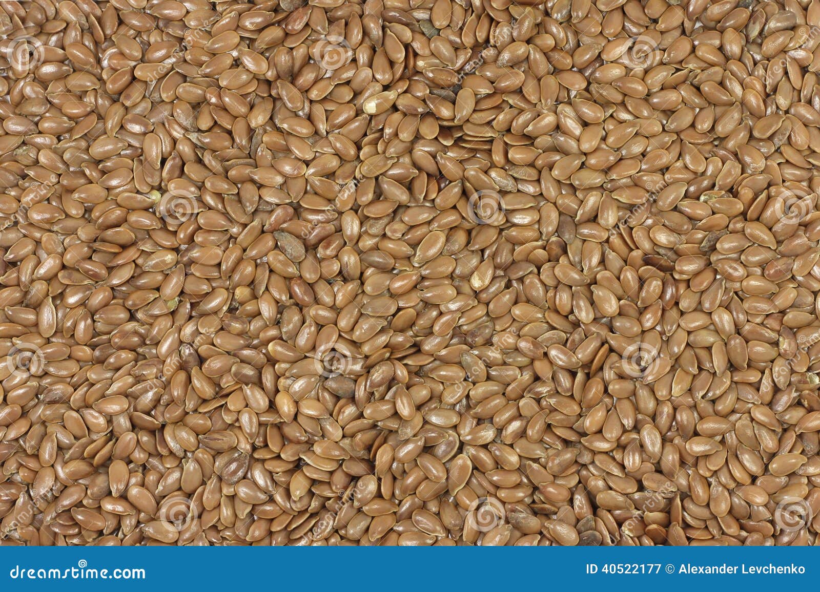 Dried Flax Seeds Background Stock Image - Image of dried, flora: 40522177