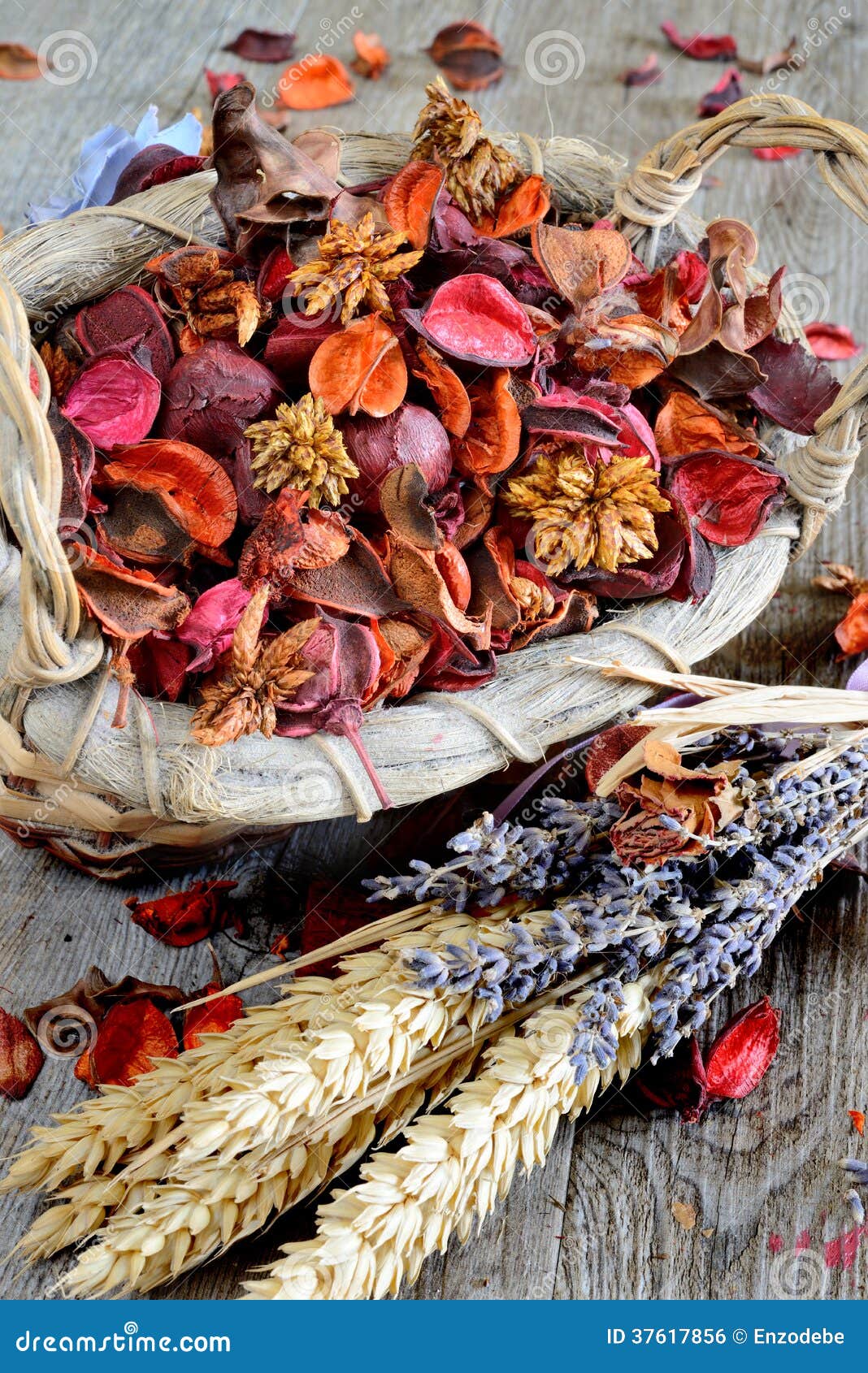 Dried floers stock photo. Image of look, body, fragrant - 37617856