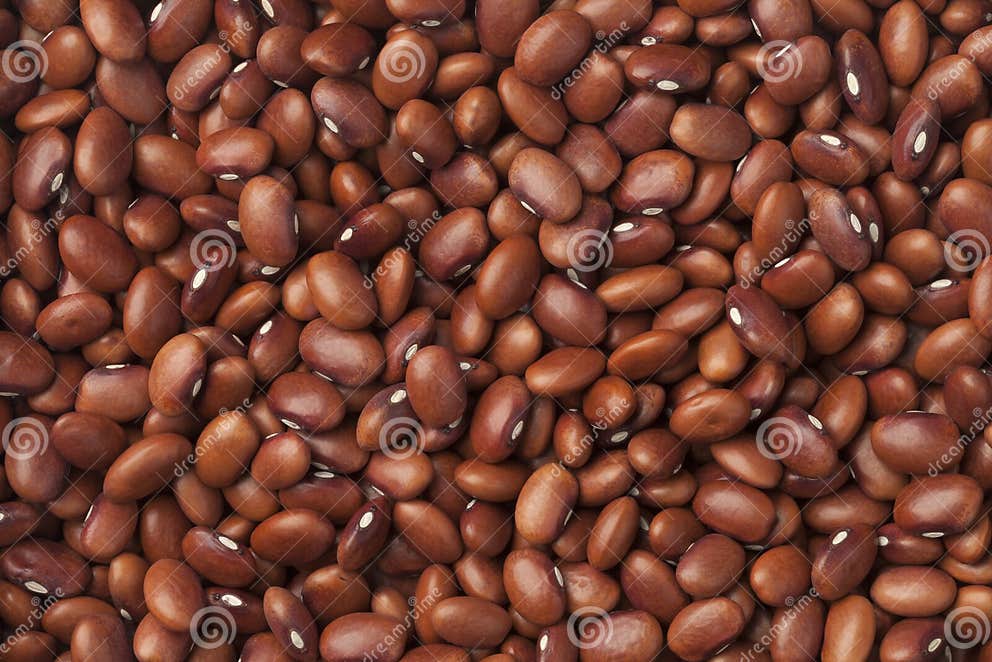 Dried Flor de mayo beans stock photo. Image of frame - 74556656