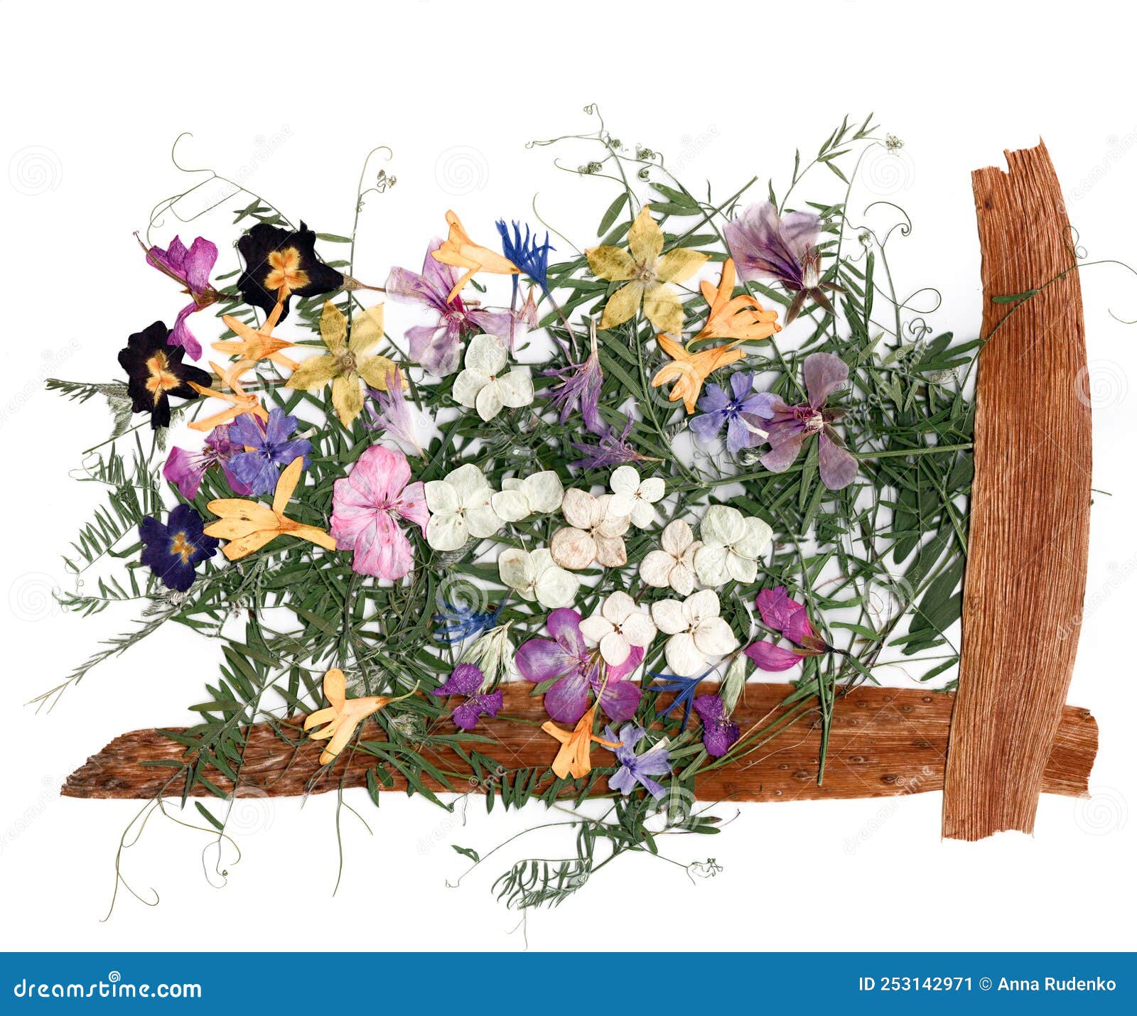 Application Bouquet Of Dry Iris Leaves In A Lattice Form Royalty-Free ...