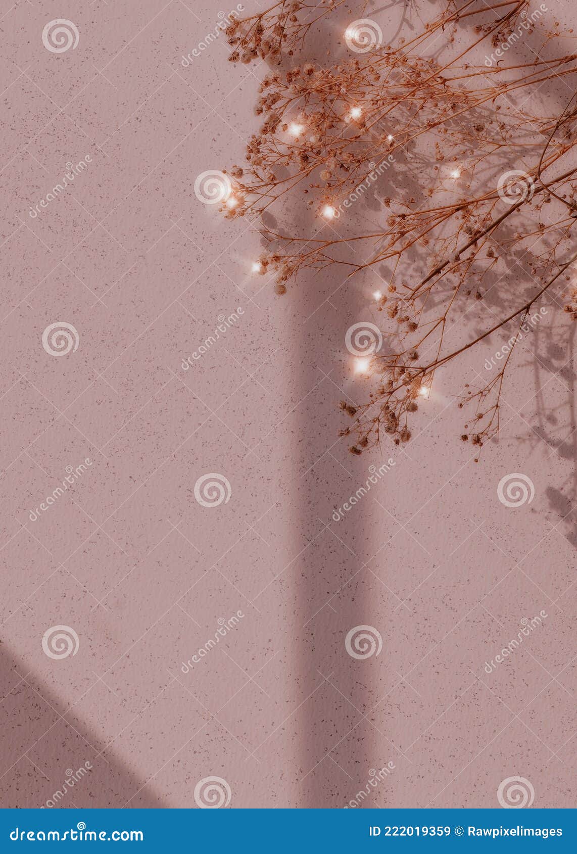 Dried Flower Window Shadow Floral Background Stock Image - Image of ...