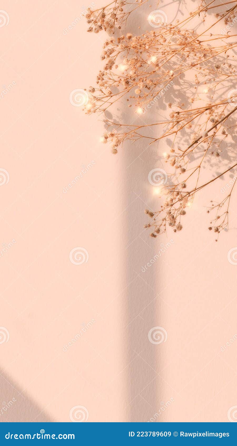 Dried Flower Window Shadow Floral Background Stock Image - Image of ...