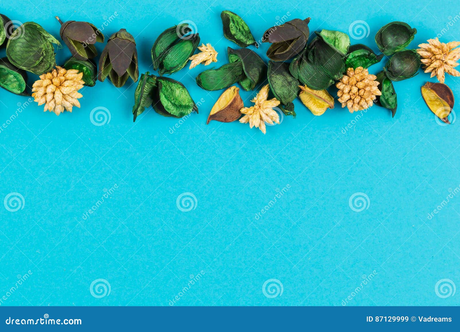 Dried Flowers and Leaves Border Frame on Blue Background. Top View ...