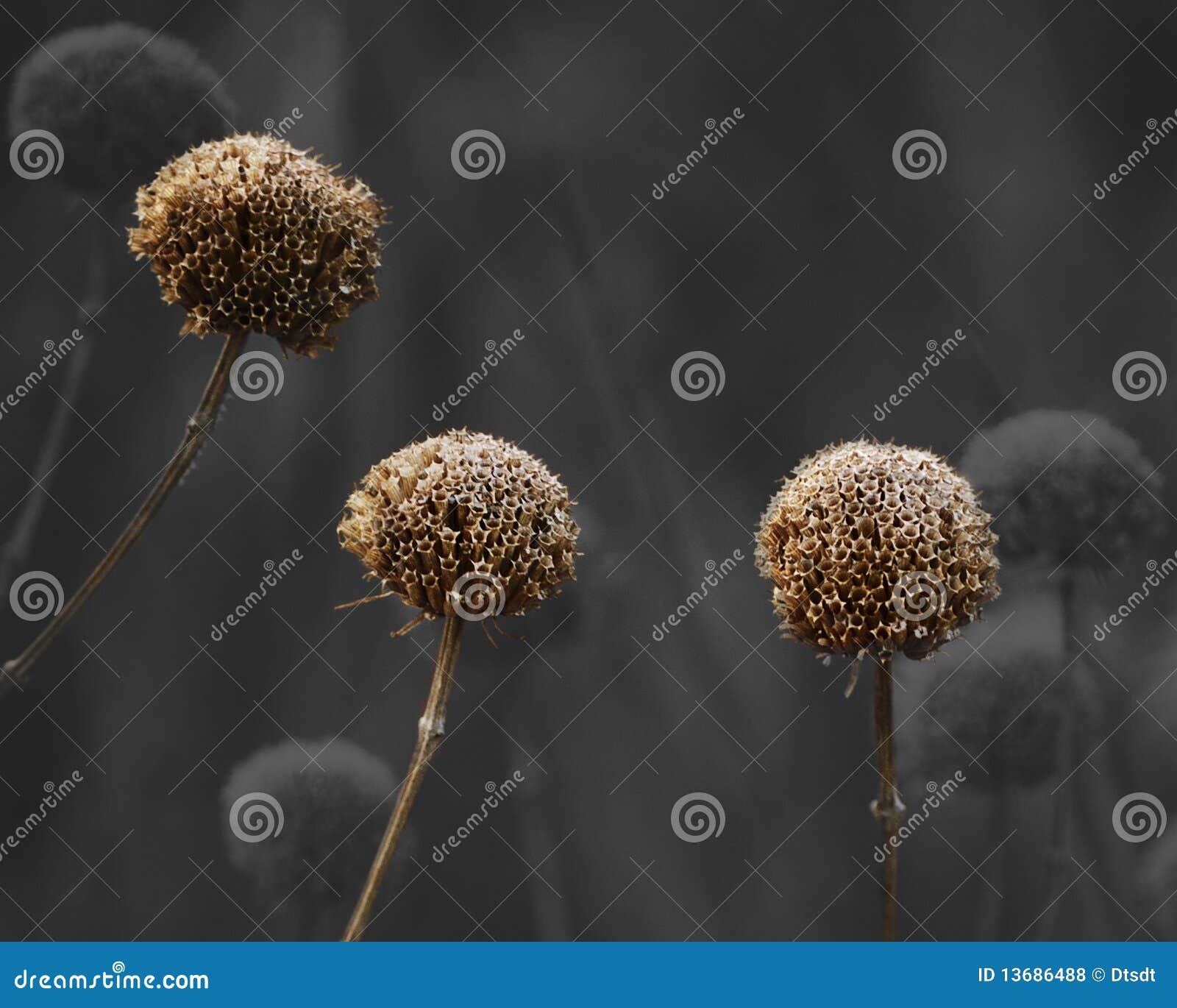 1,236 Prairie Edge Photos - Free & Royalty-Free Stock Photos from ...