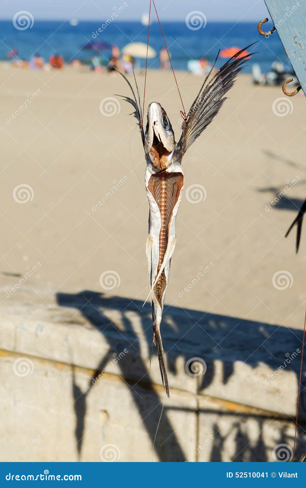 Dried Flying Fish Stock Photos - Download 61 Royalty Free Photos