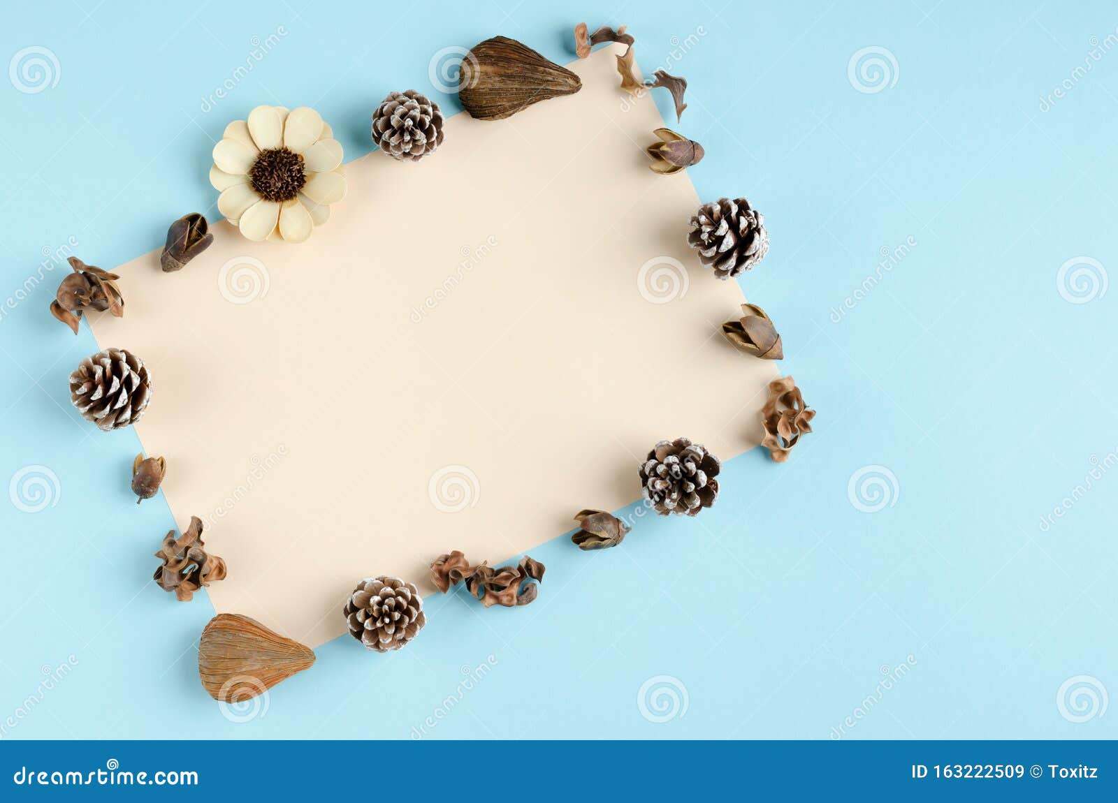 Dried Foliage Composition on Blue Background. Flat Lay Stock Image ...