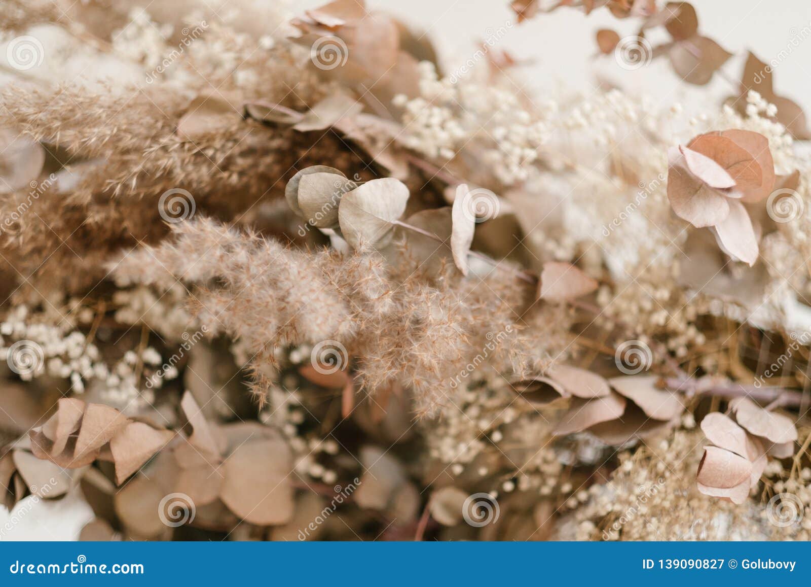 Dried Foliage Background Creative Composition Stock Image - Image of ...