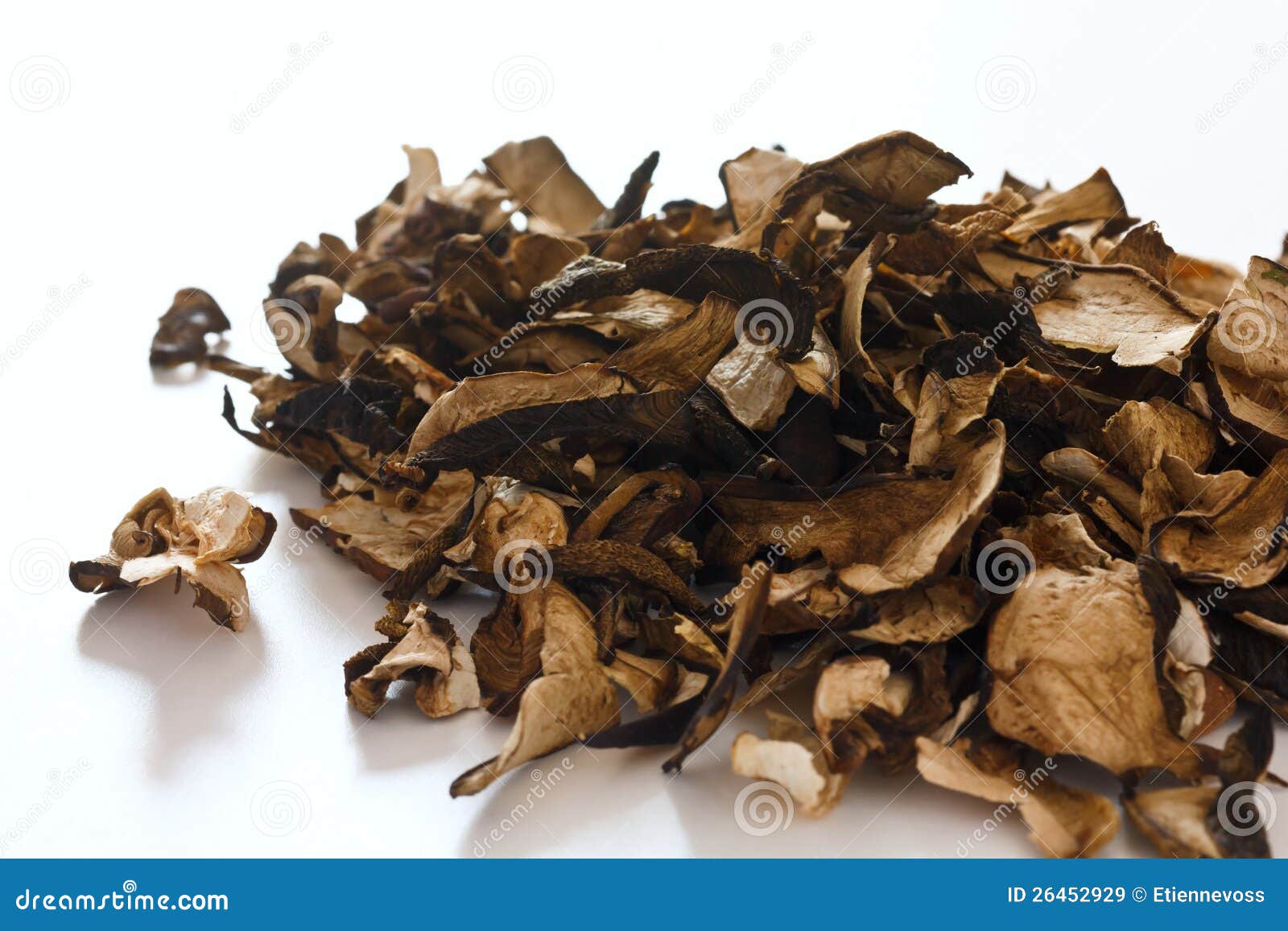 Dried forest mushrooms stock image. Image of still, boletus - 26452929