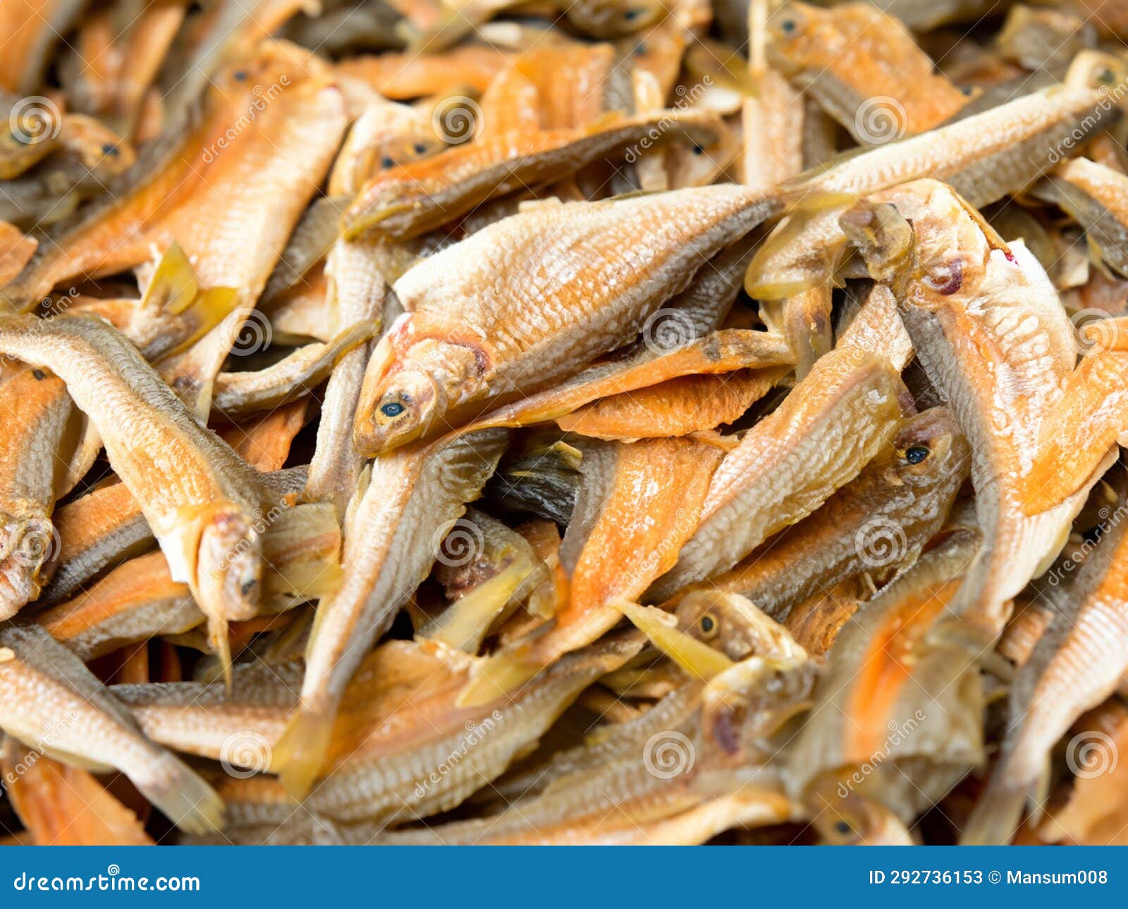 Dried Fresh Fish in the Market Stock Image - Image of fish, animal ...