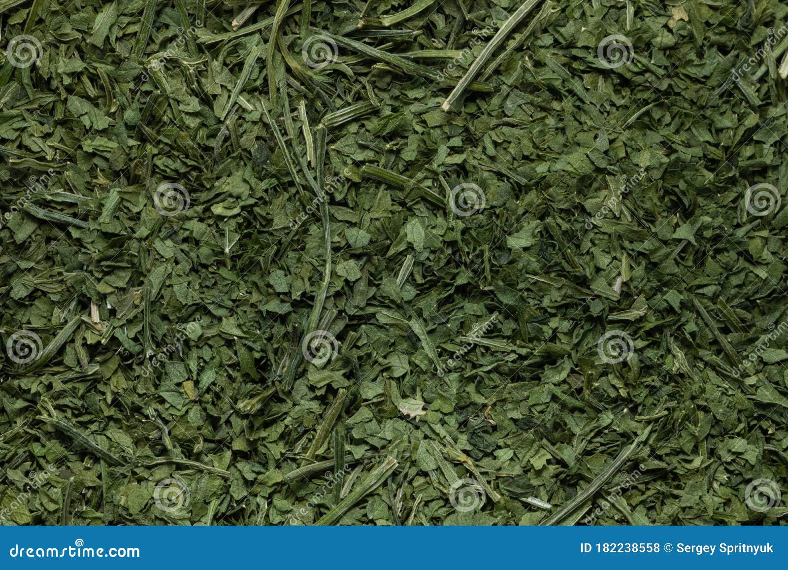Dried Fresh Green Parsley Texture Stock Photo - Image of color, tasty ...