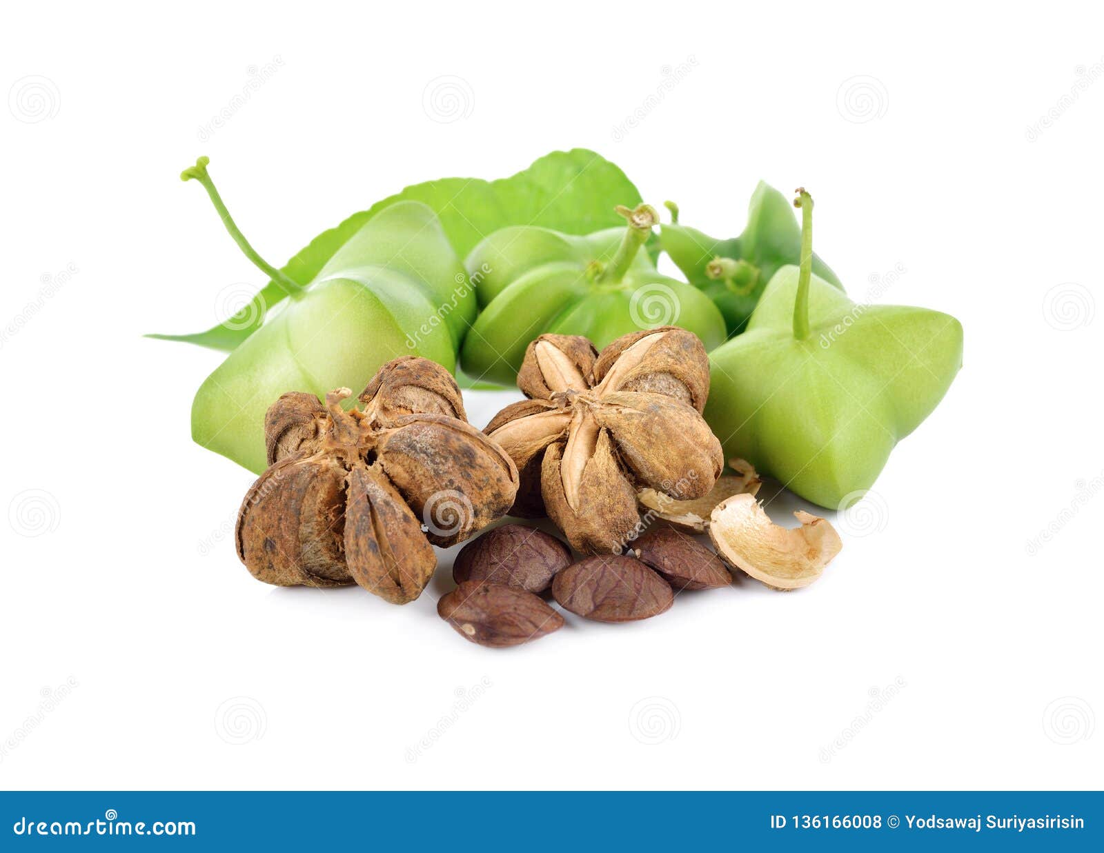 Dried and Fresh Sacha Inchi with Leaf on White Background Stock Photo ...
