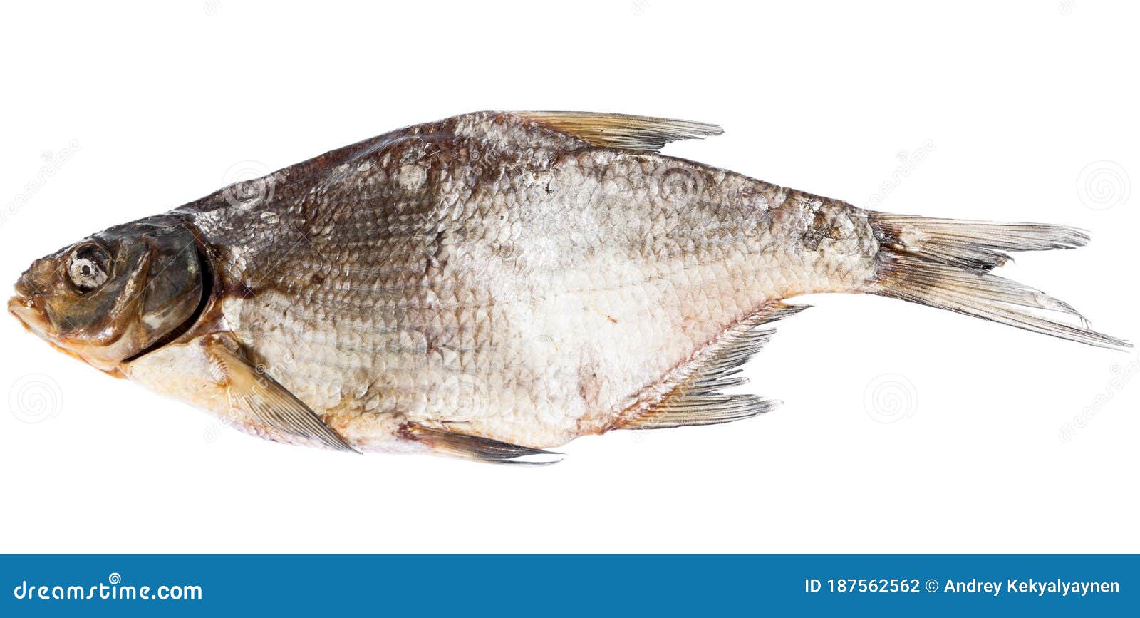 Dried Freshwater Fish, Isolated on White Background Stock Photo - Image ...