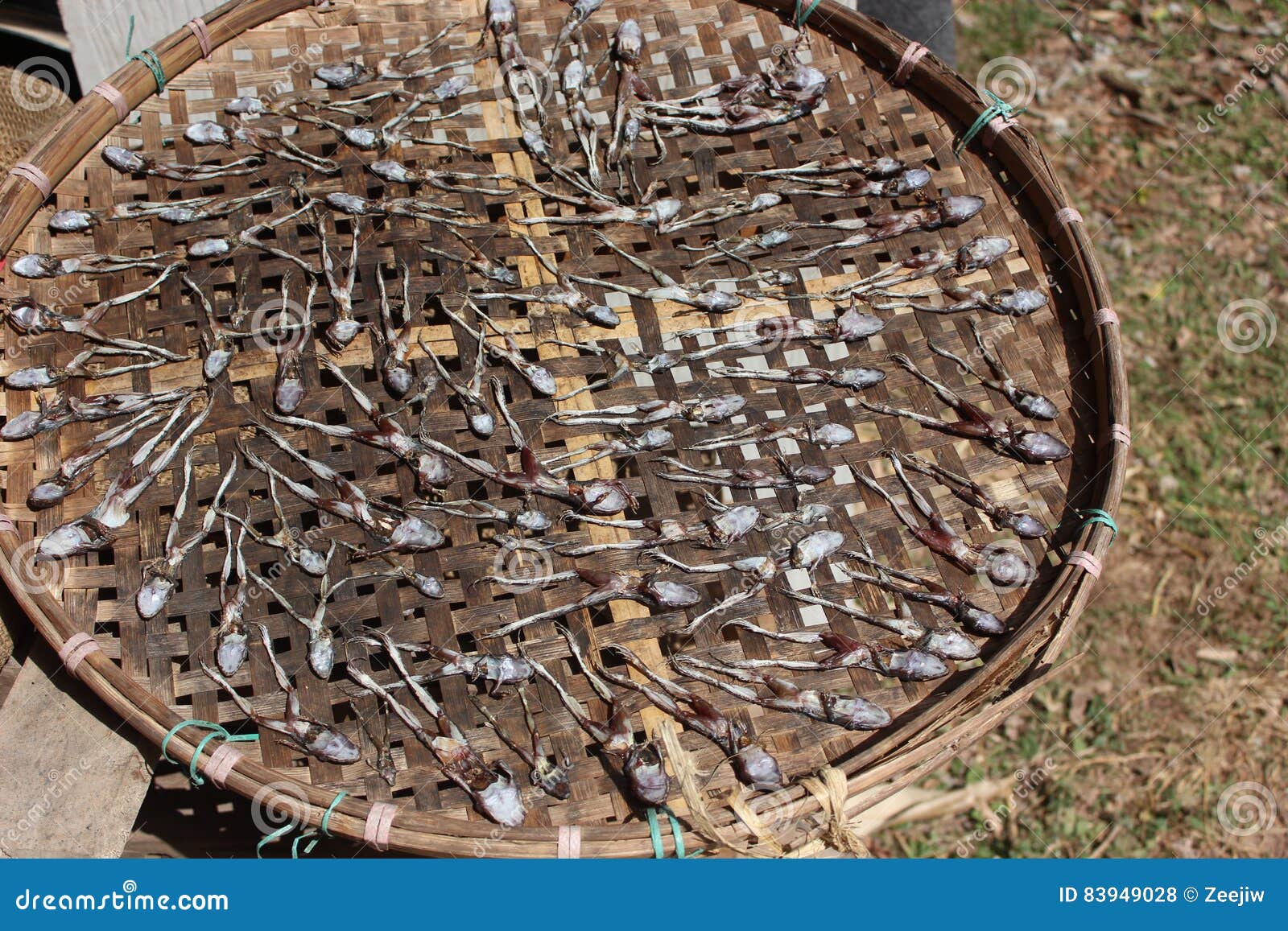 Dried frog stock photo. Image of salt, meat, natural - 83949028