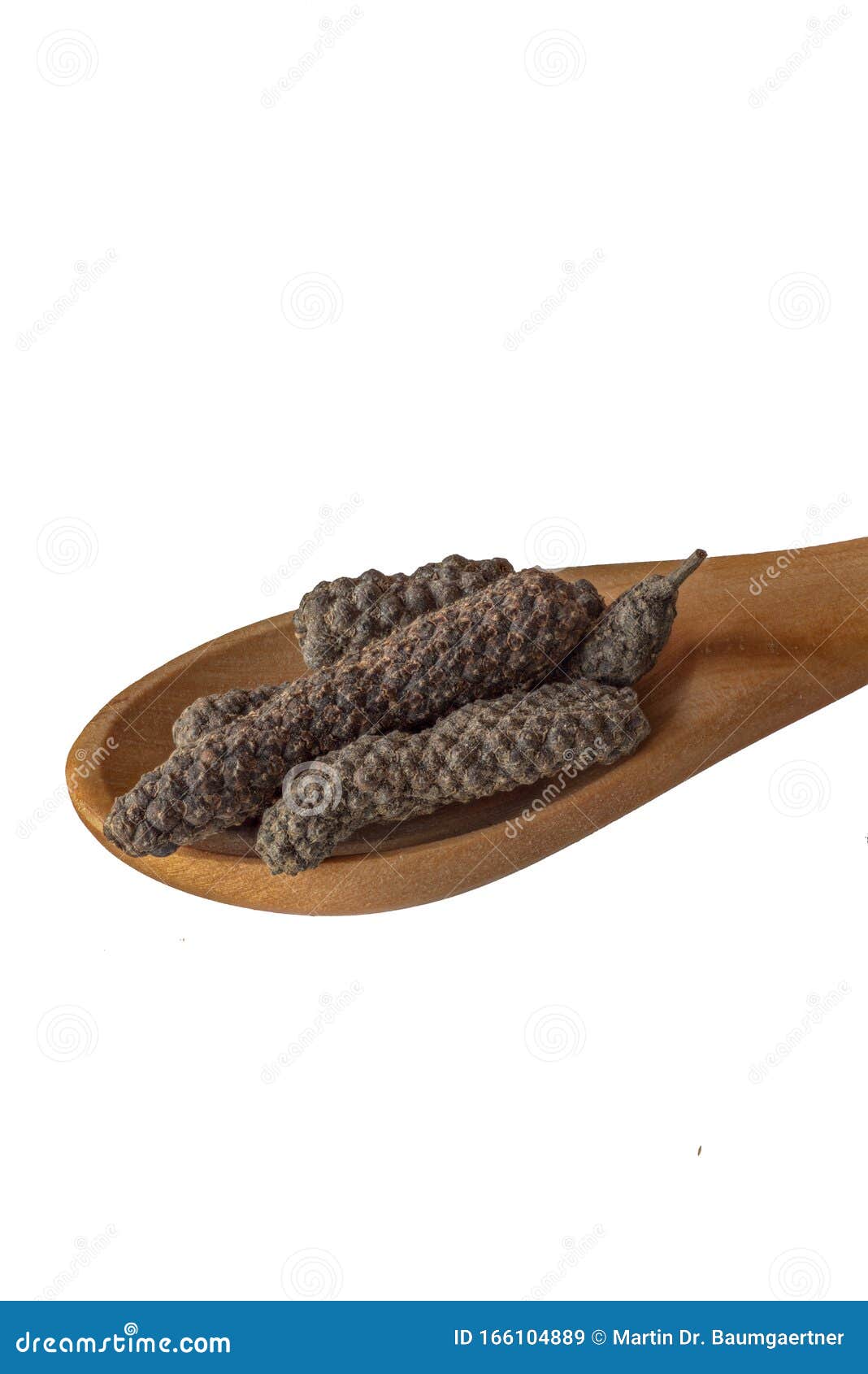 Pippali: Dried Indian Long Pepper Stock Image - Image of spice ...