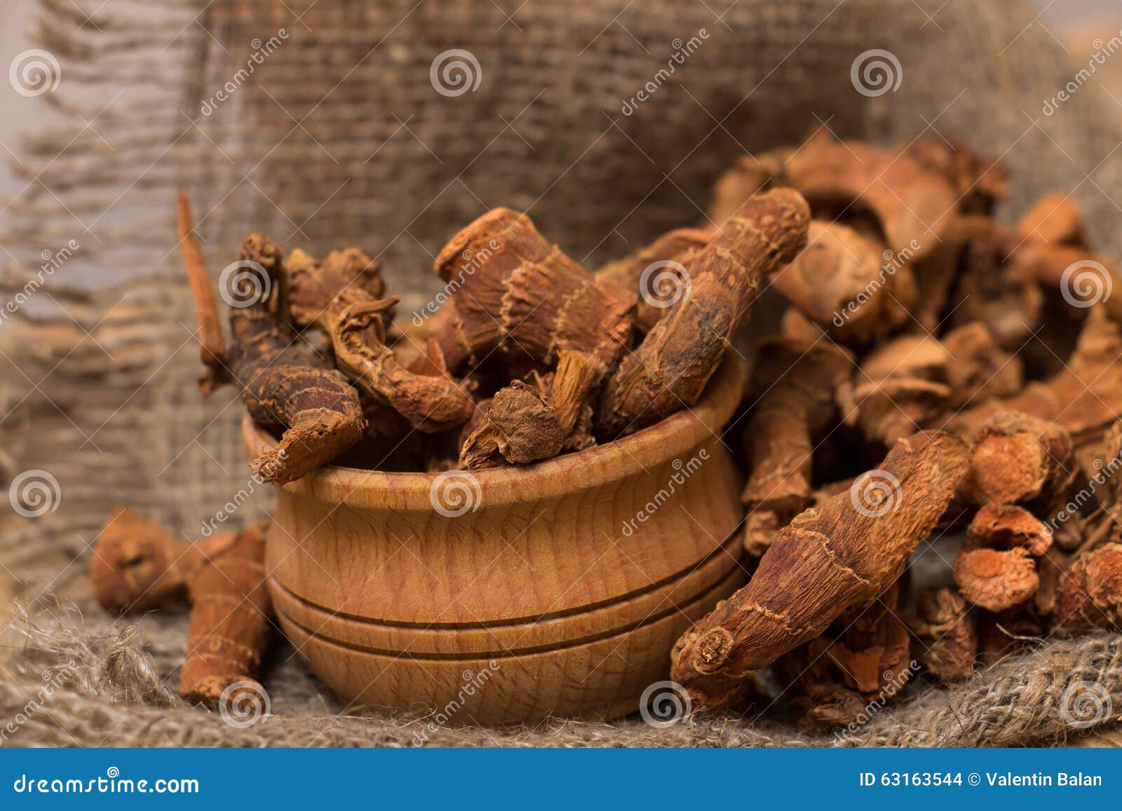 Dried galangal root stock photo. Image of scent, flavor - 63163544