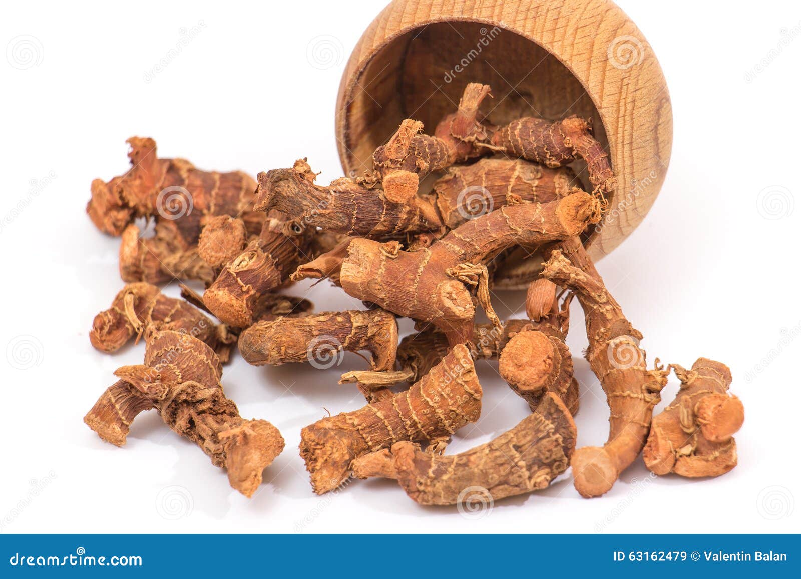 Galangal Root And Galanga Powder In Wooden Spoon On Rustic Table ...