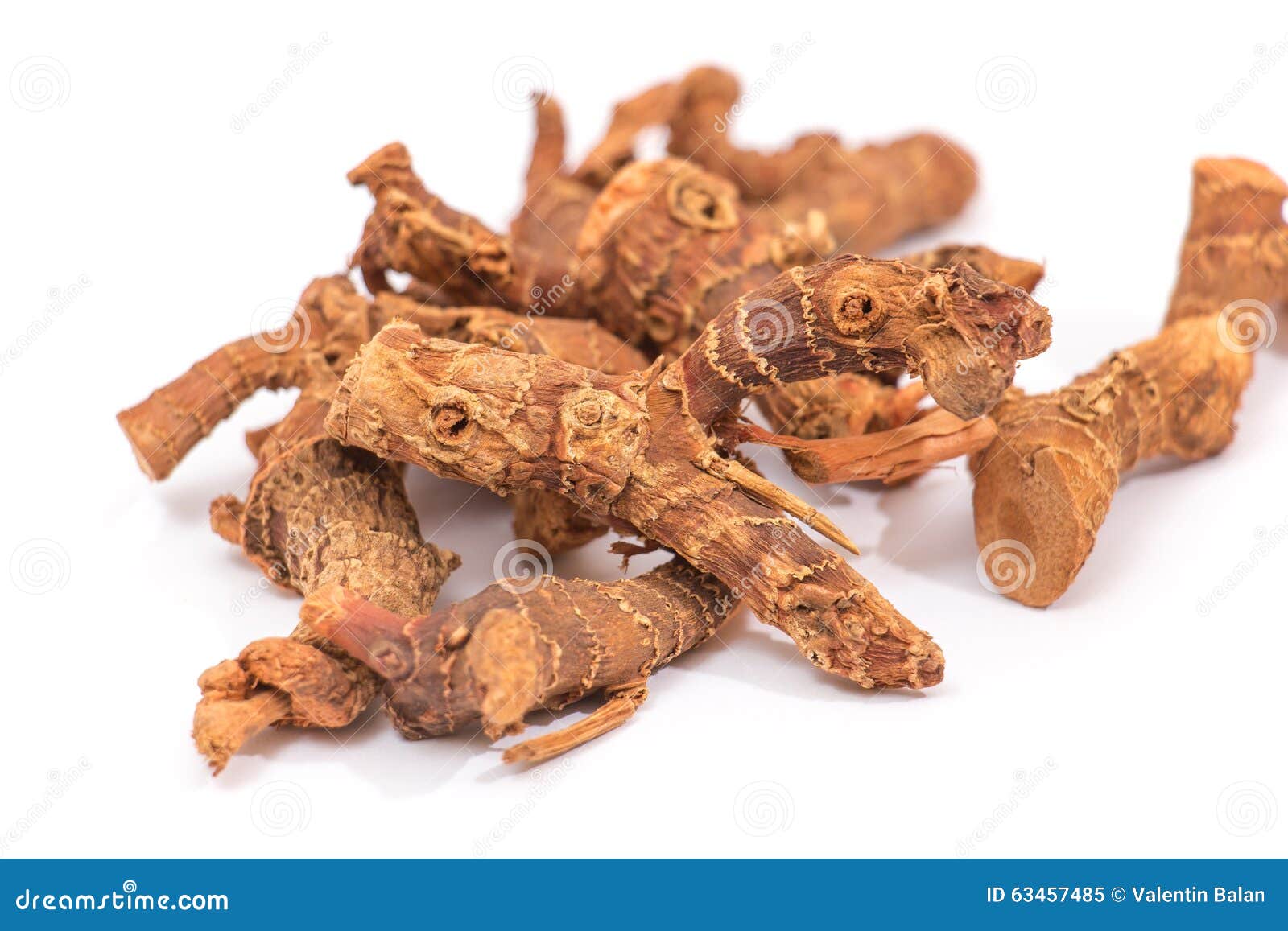 Dried galangal root stock image. Image of scent, aromatic - 63457485