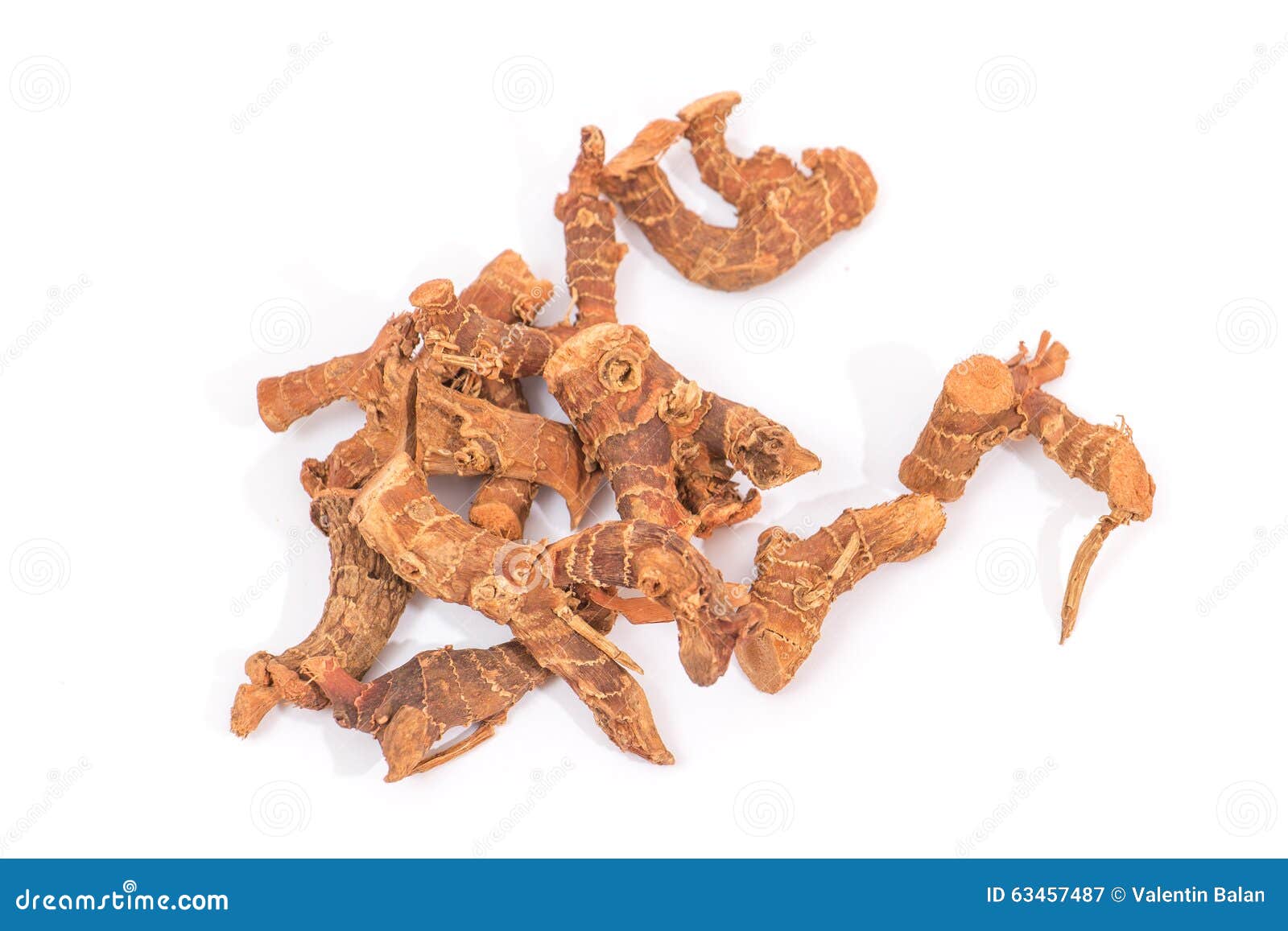 Dried galangal root stock image. Image of heap, food - 63457487