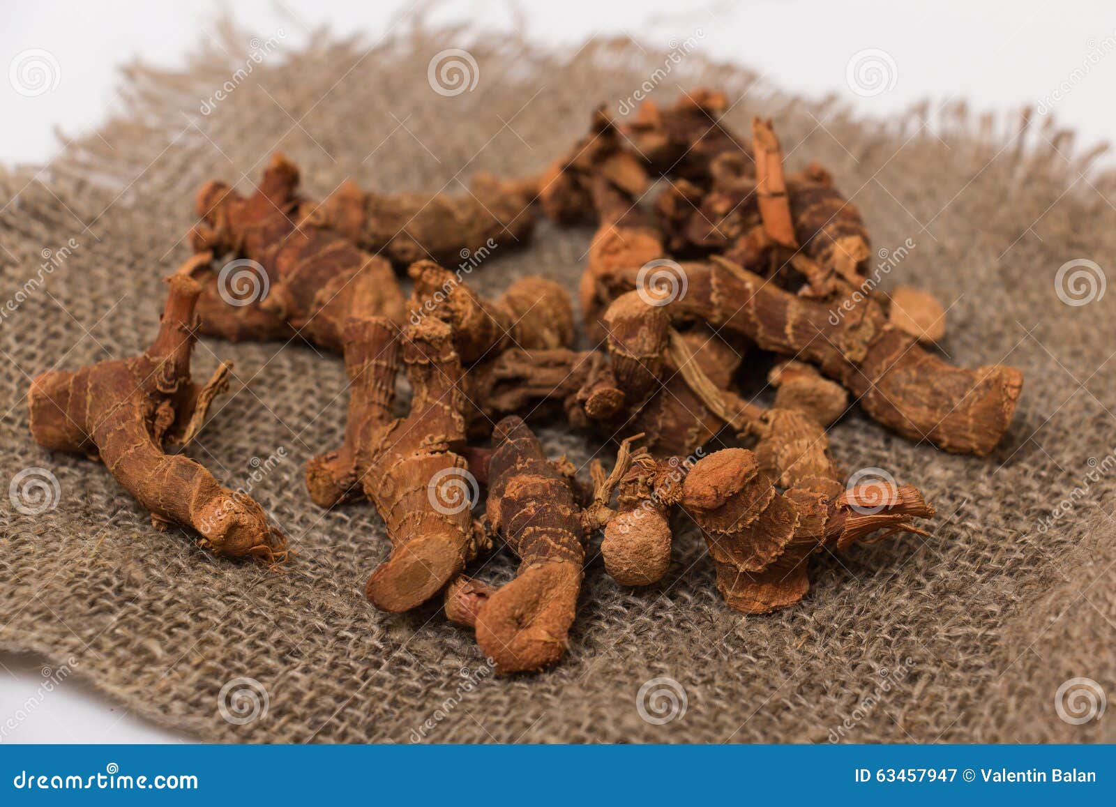 Dried galangal root stock image. Image of cuisines, close - 63457947