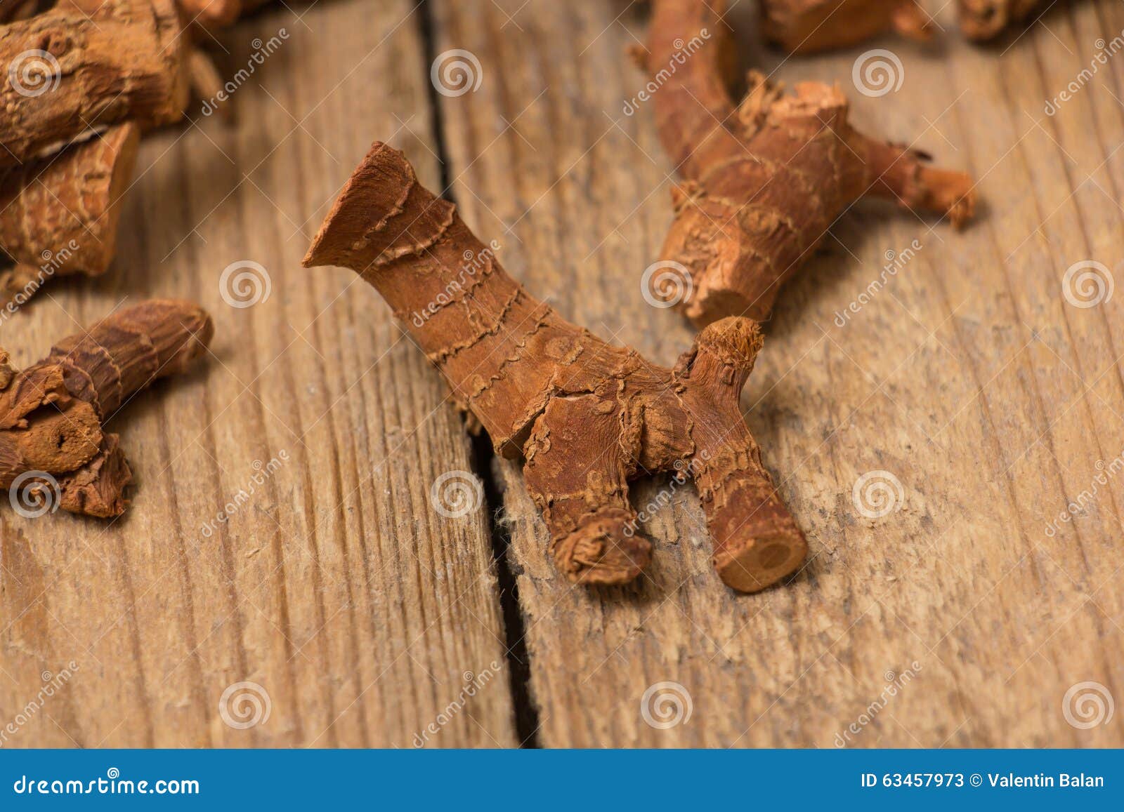Dried galangal root stock image. Image of vegetable, root - 63457973