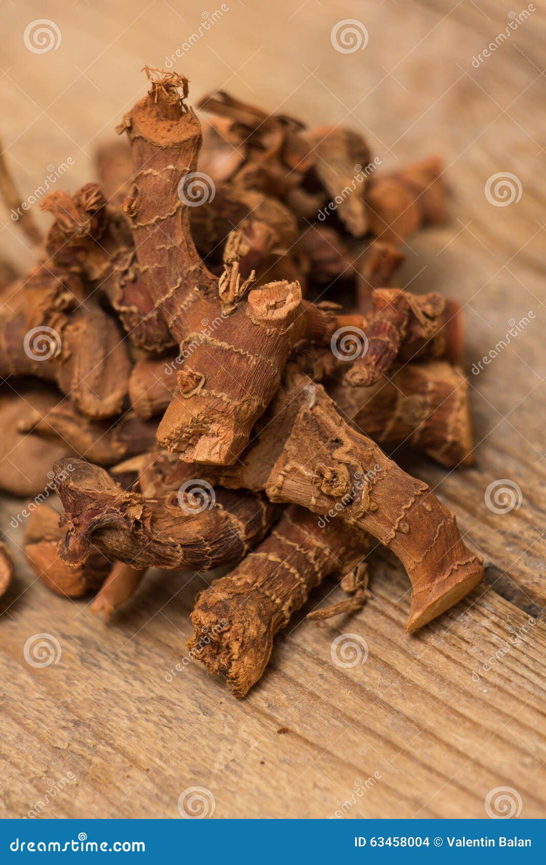 Dried galangal root stock photo. Image of piece, galangal - 63458004