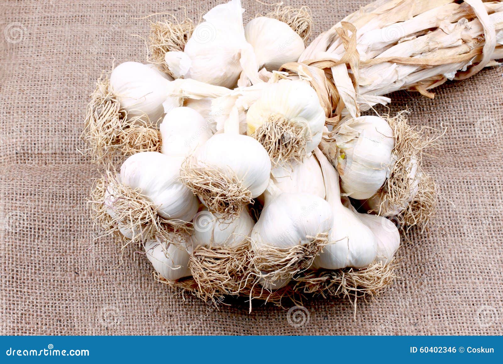 Dried garlic stock photo. Image of aromatherapy, fashioned - 60402346