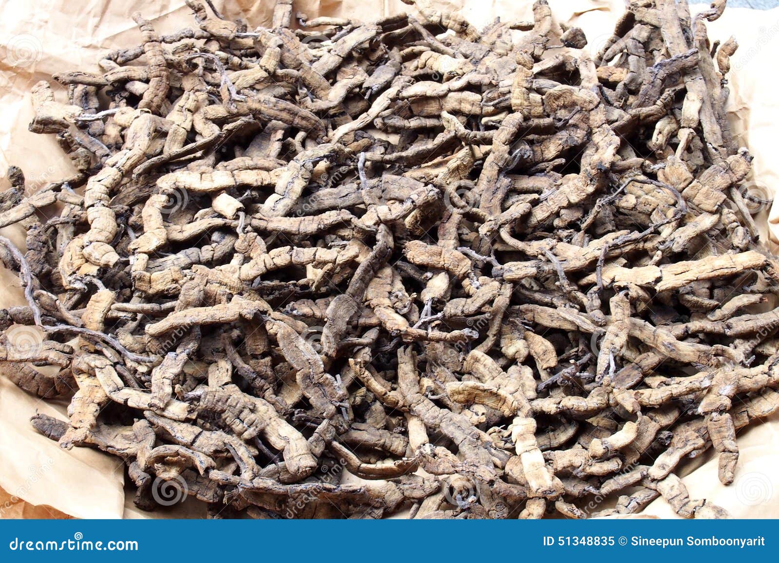 Dried ginseng stock image. Image of sunbathe, food, ginseng - 51348835