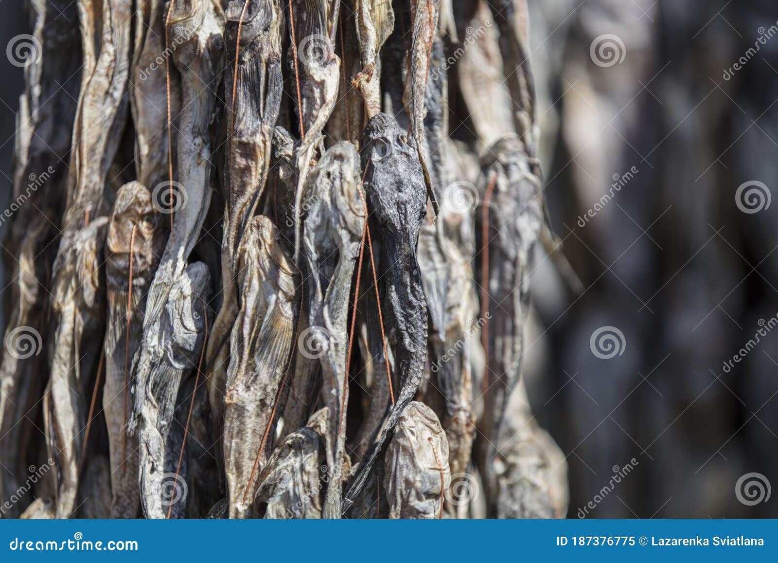Taranka stock image. Image of food, market, healthy - 187376775