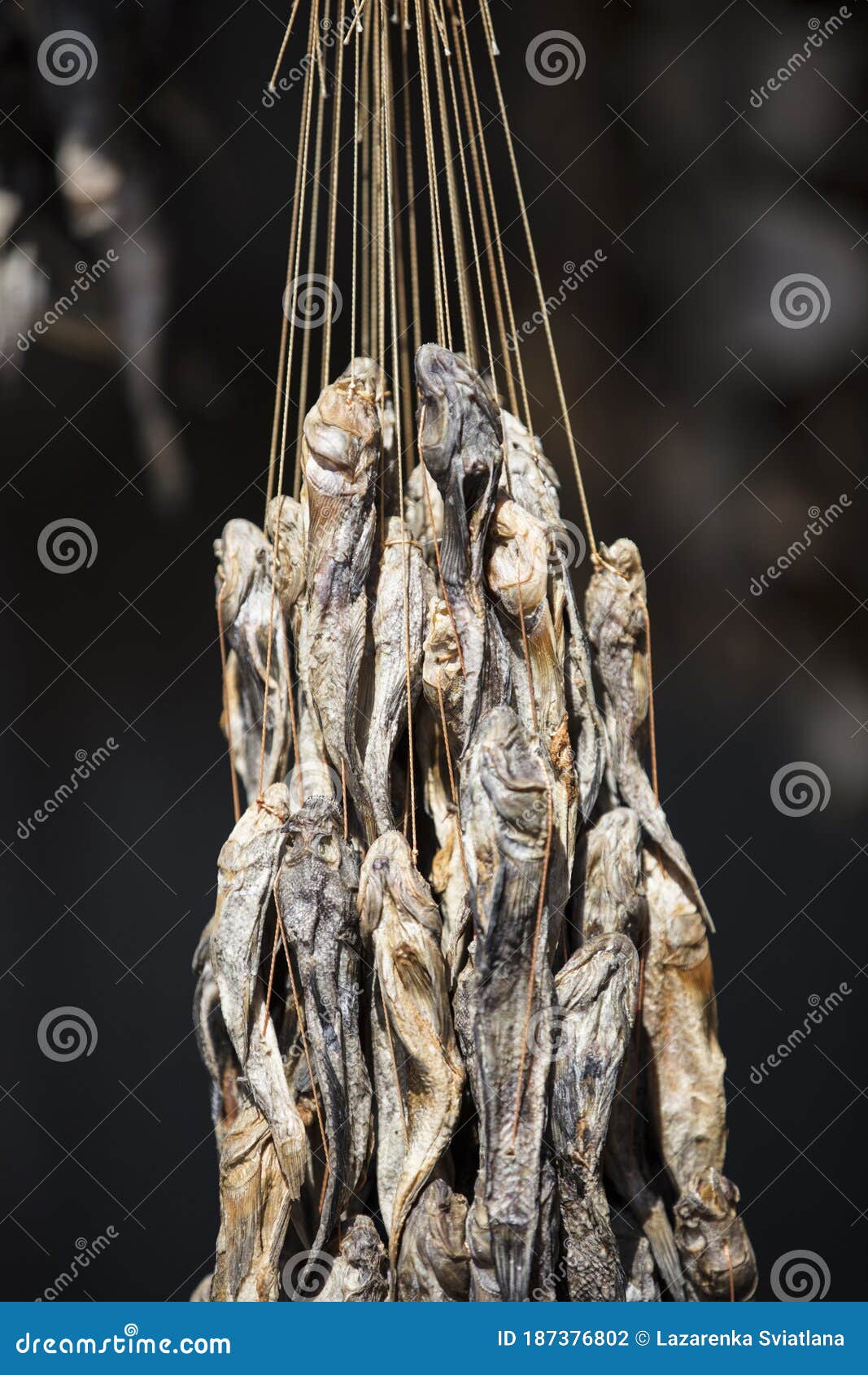Taranka. stock photo. Image of copy, protein, meal, dried - 187376802